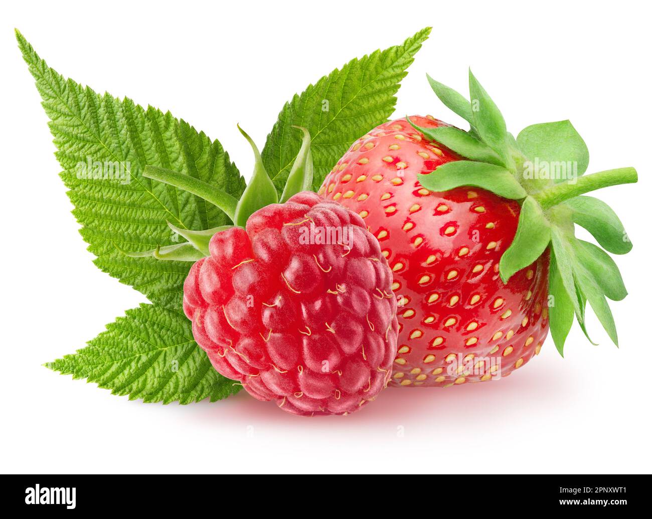 Isolated berries. Raspberry and strawberry fruits with leaves isolated ...