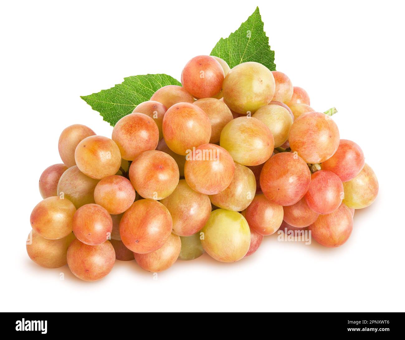 Isolated fresh Grapes. Bunch of ripe grape fruit with leaves isolated ...