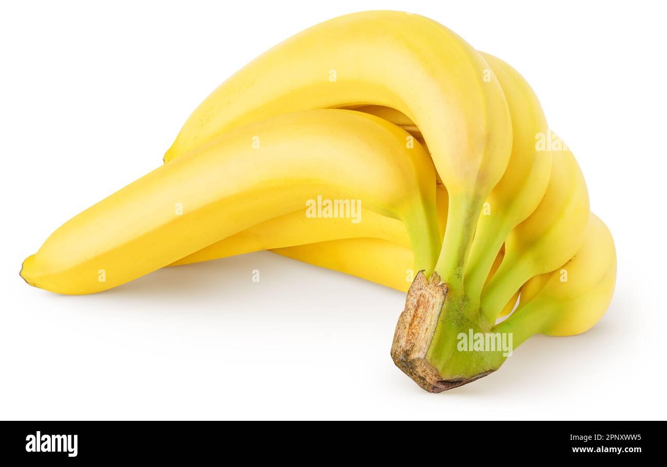 Isolated banana. Bunch of bananas isolated on white background, with ...