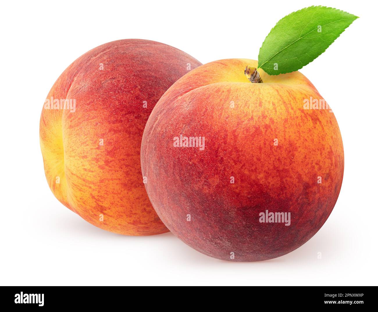 Isolated peaches. Two whole peach fruits with leaf isolated on white ...