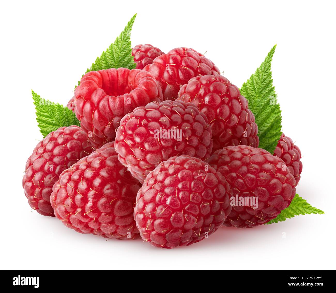 Isolated berries. Pile of raspberry fruits with leaves isolated on ...