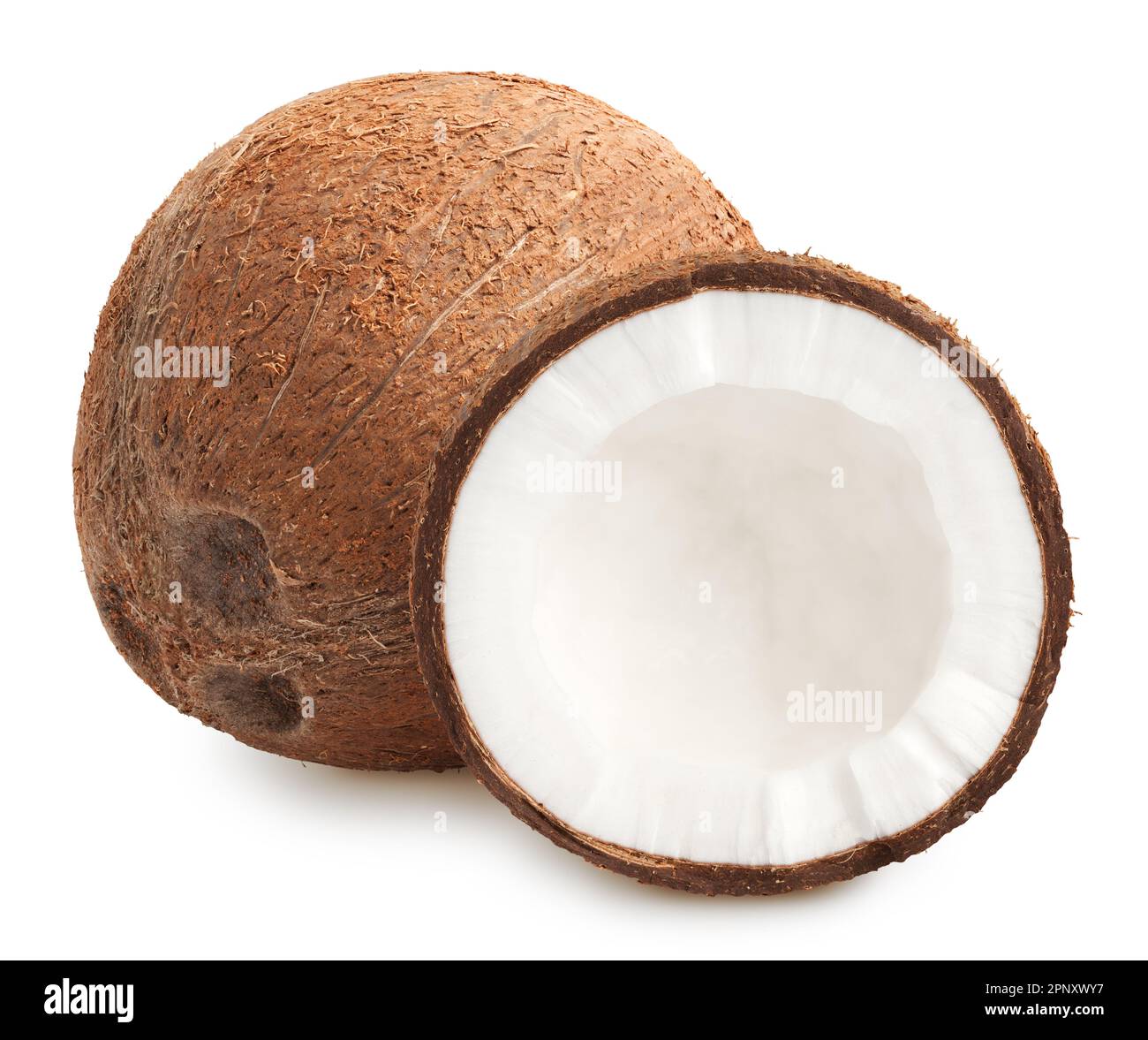 Isolated coconuts. Whole coconut with half isolated on white, with ...