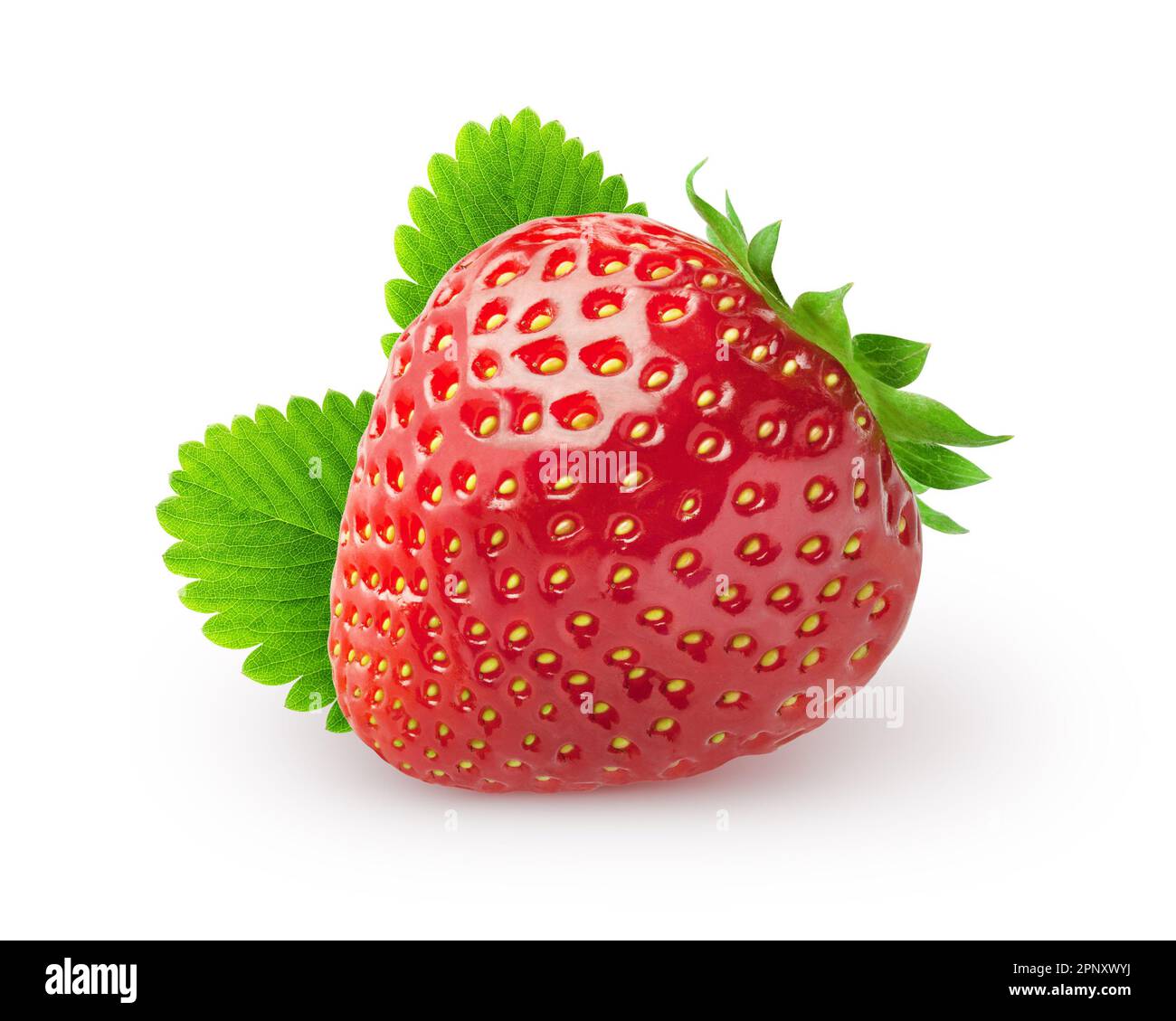 Isolated strawberry. Single strawberry fruit with leaves isolated on ...