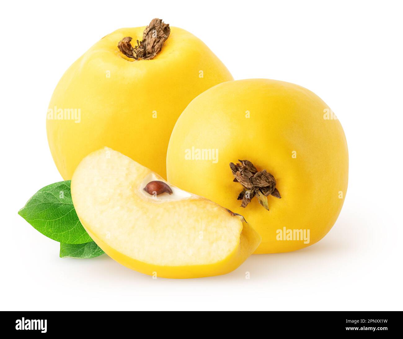 Isolated quince. Two whole quince fruits and a piece isolated on white ...