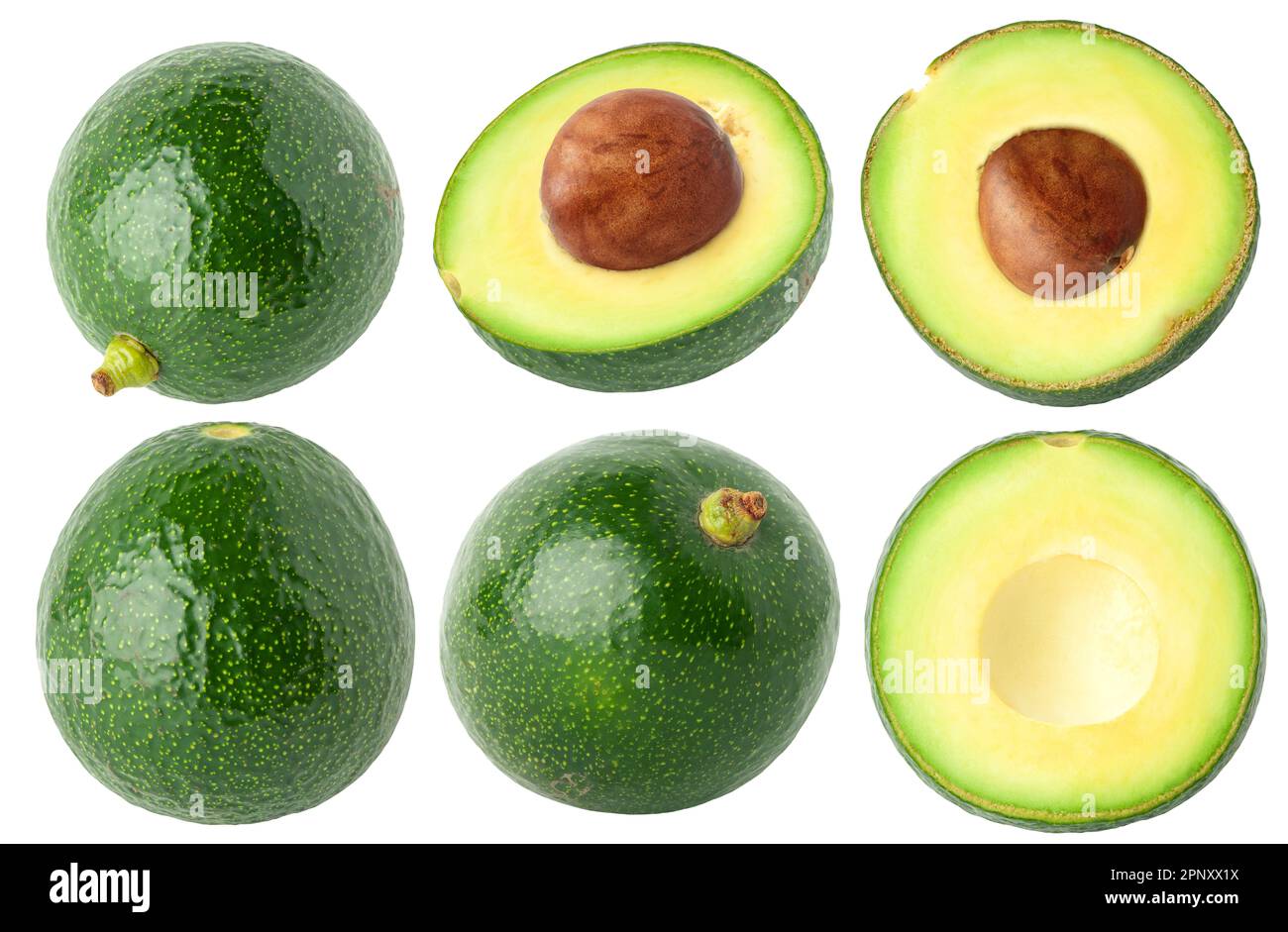 Isolated avocado collection. Different shapes of avocado isolated on ...