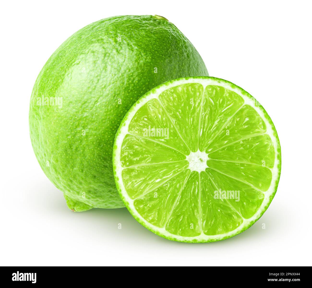 Isolated limes. Whole lime fruit with slice isolated on white ...