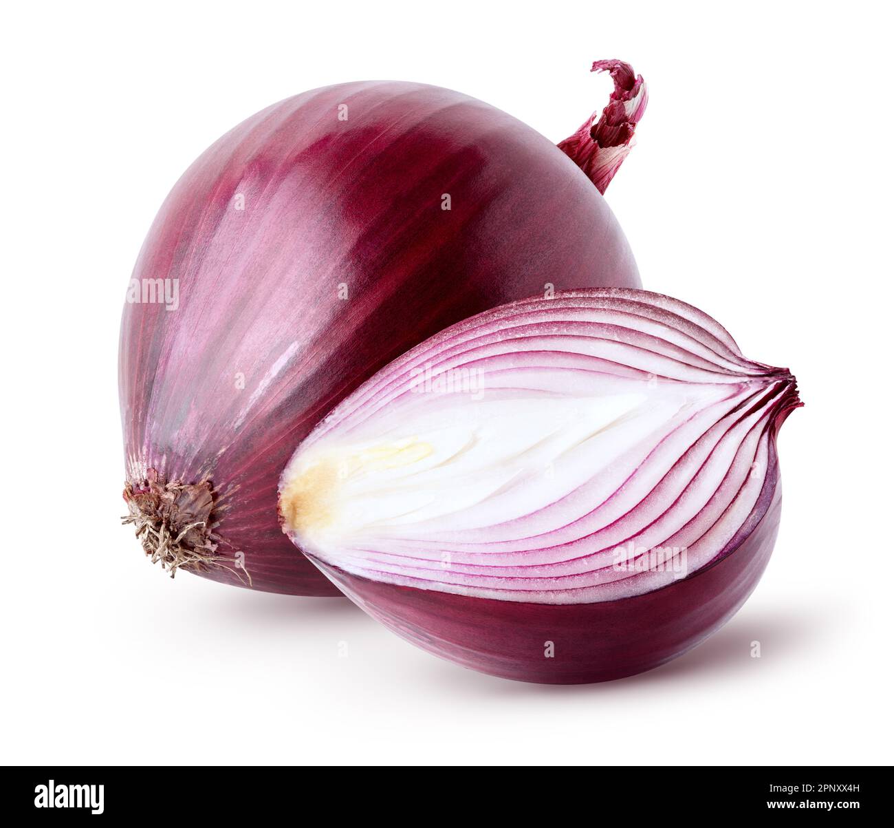 Isolated onions. Whole red onion and half isolated on white background ...