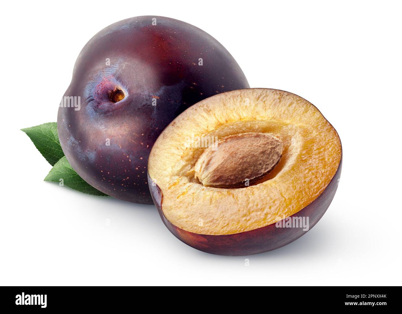 Isolated plums. Whole and a half of blue plum fruit with leaves ...