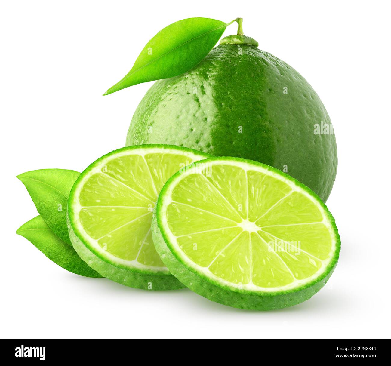 Isolated lime fruits. Whole lime fruit and slices isolated of white ...