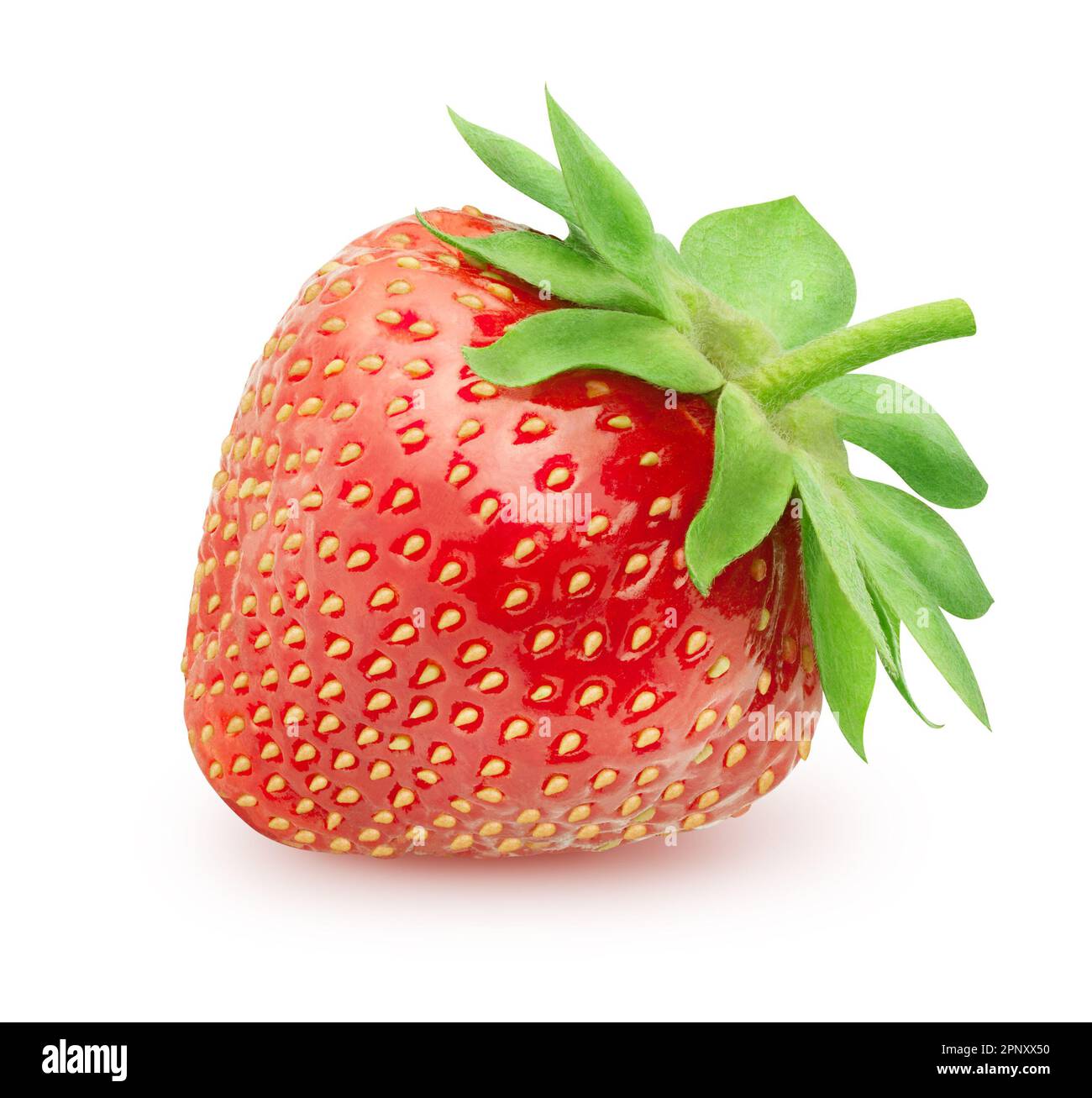 Isolated strawberry. Whole single strawberry fruit isolated on white ...