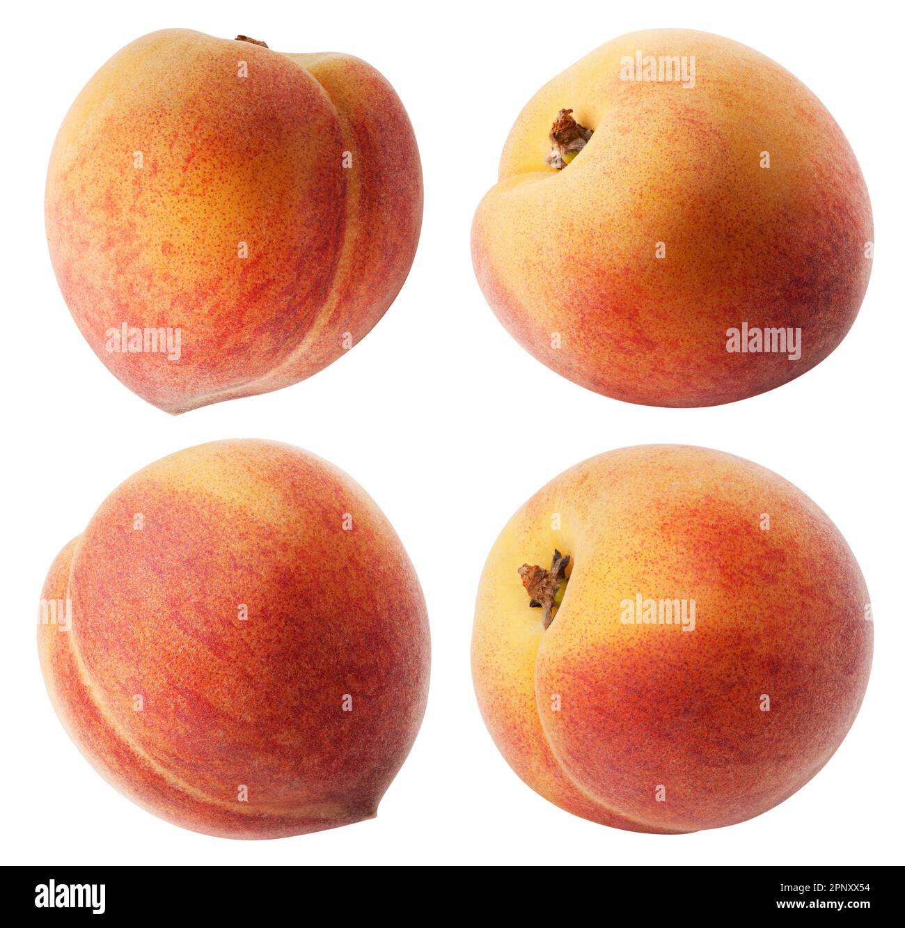 Peach isolated. Collection of different whole peach fruits isolated on ...