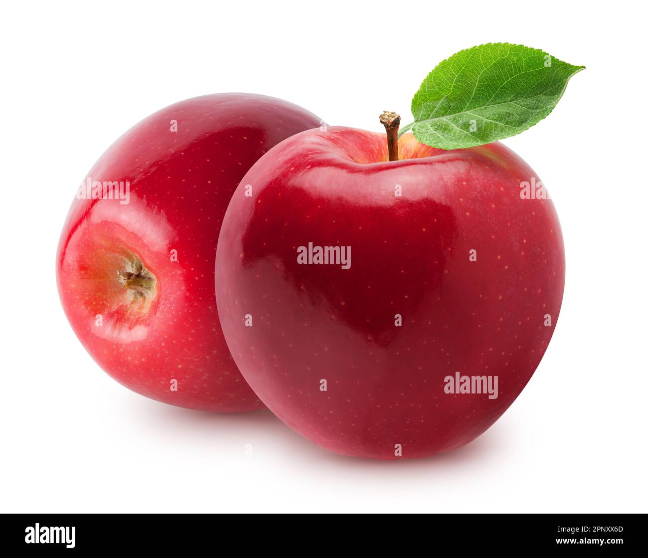 Isolated apples. Two whole red, pink apple fruit with leaf isolated on ...