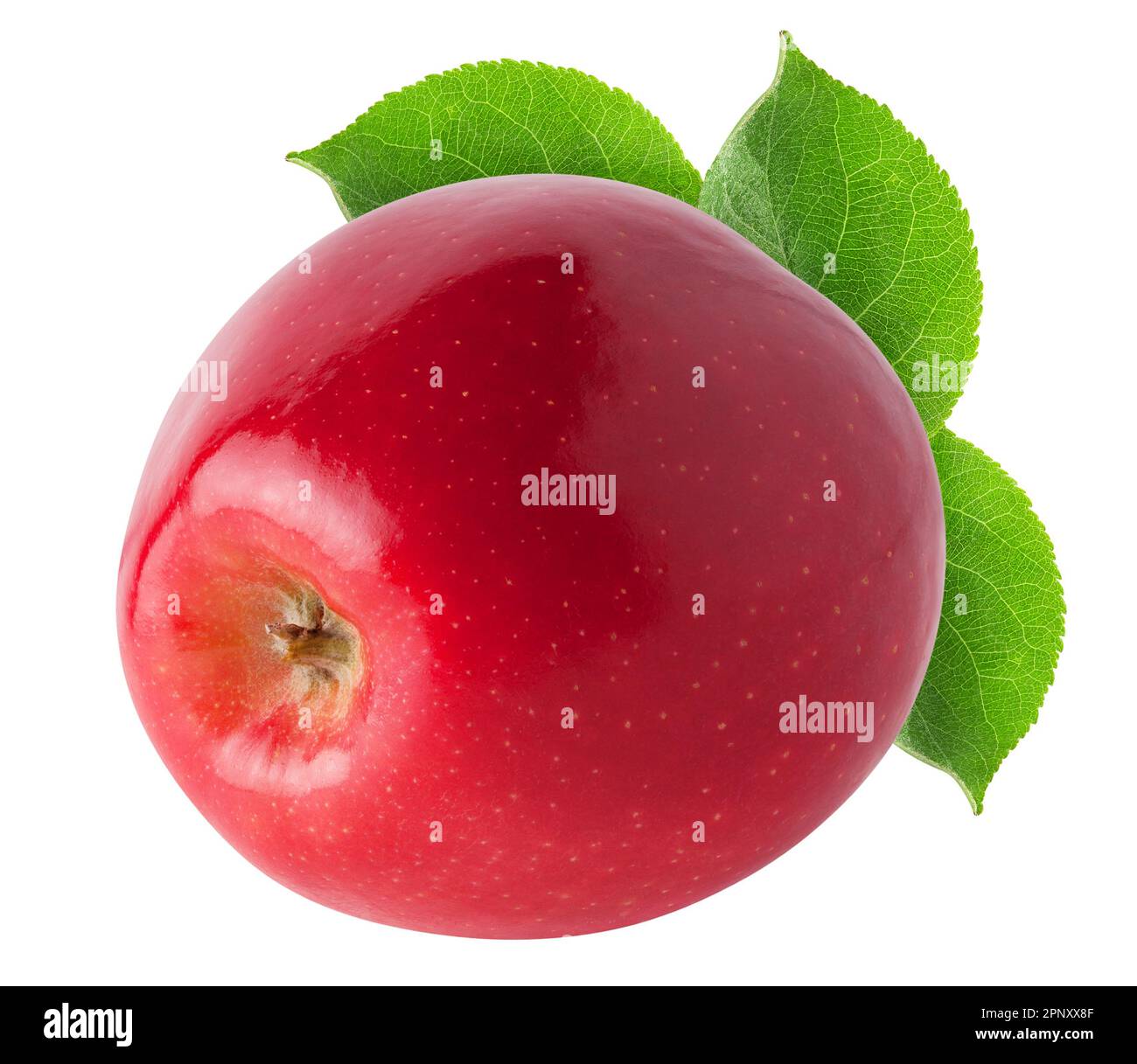 Isolated beautiful apple. Whole single red, pink apple fruit with ...