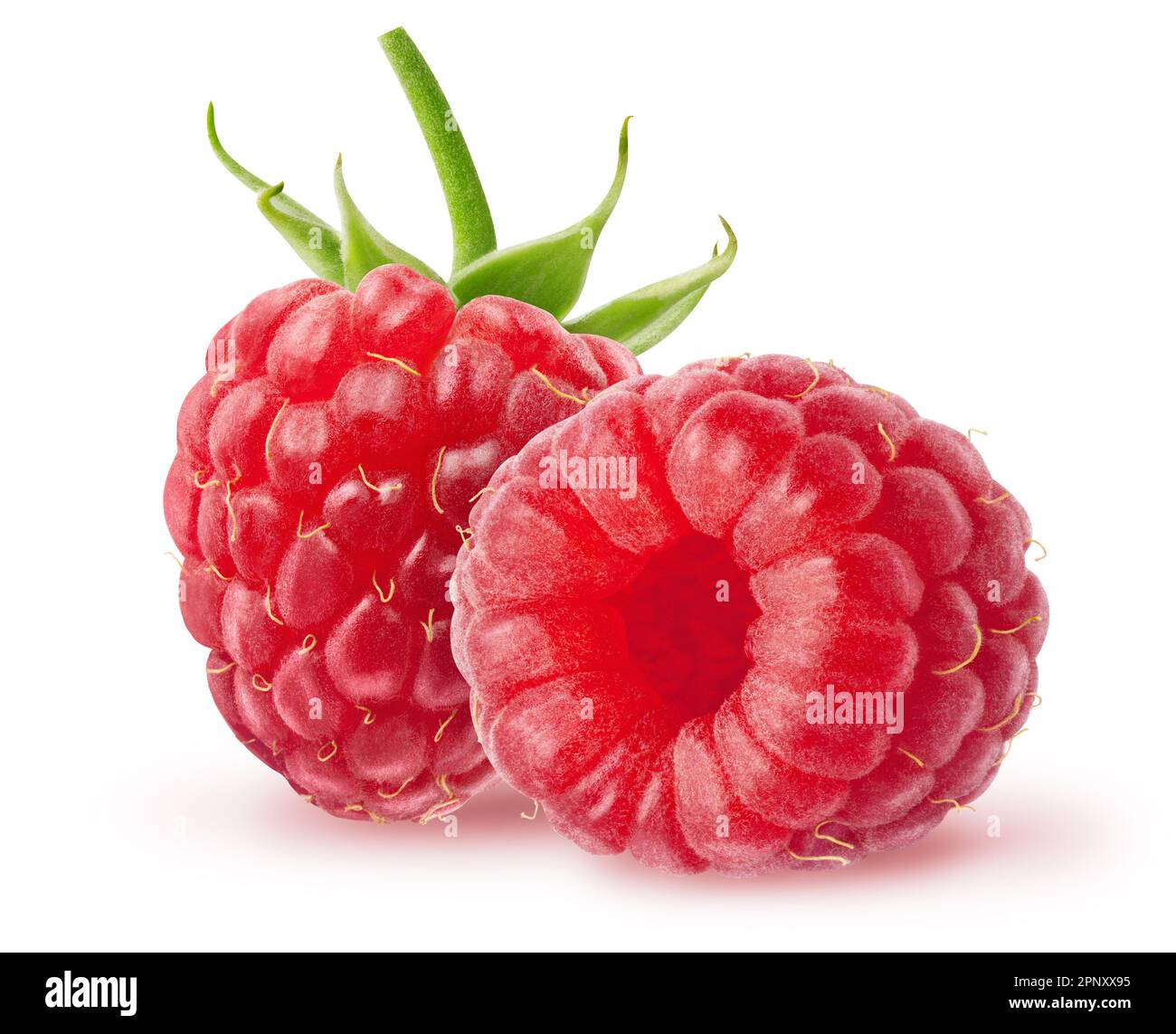 Isolated berries. Two fresh raspberry fruits isolated on white ...