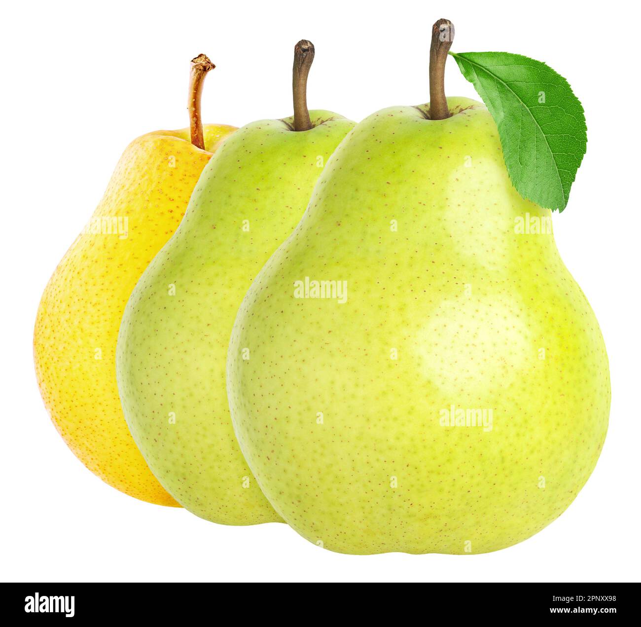 Isolated pears. Collection of pear fruits isolated on white, clipping ...