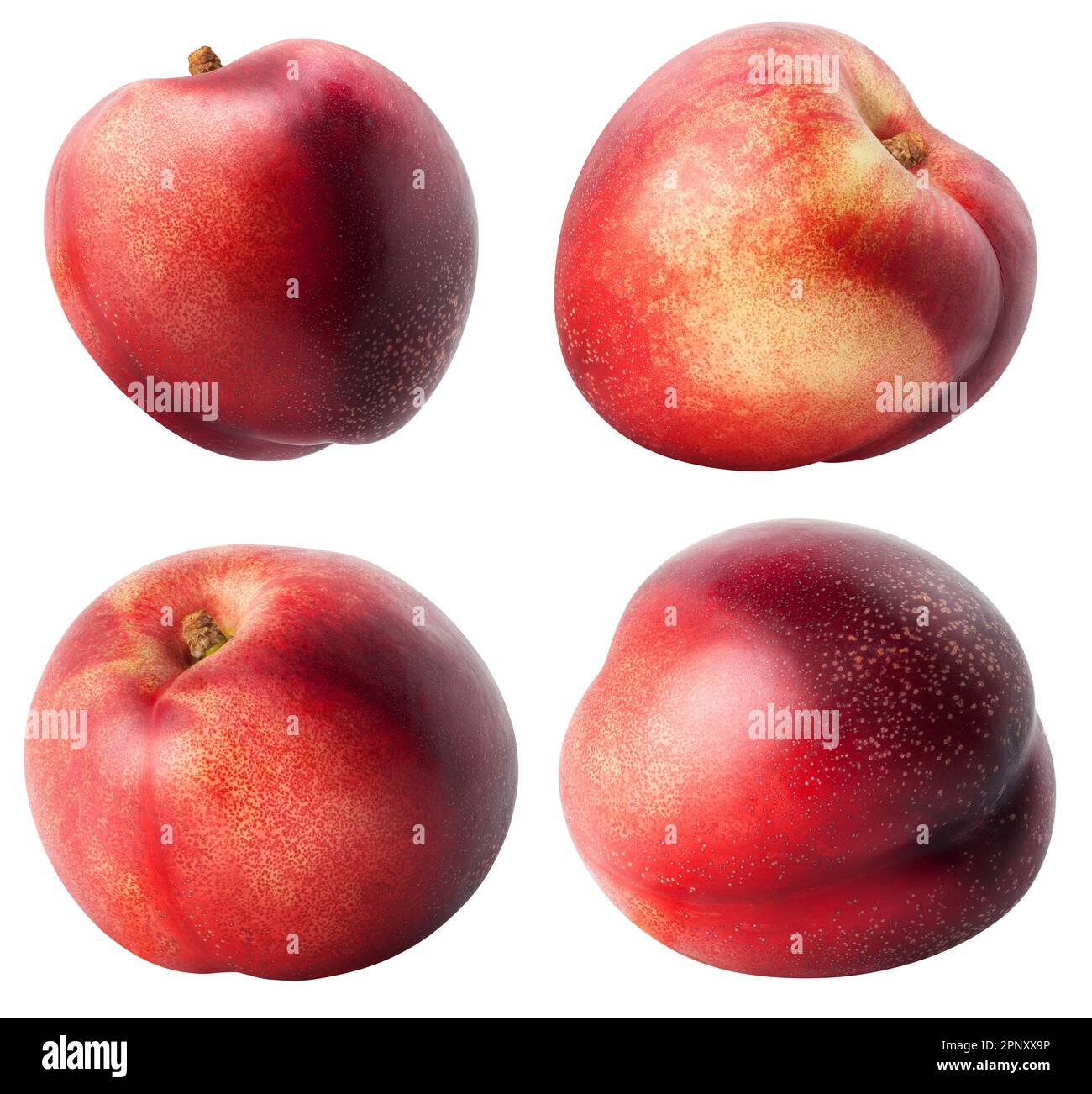 Collection of different nectarine fruits isolated on white background ...