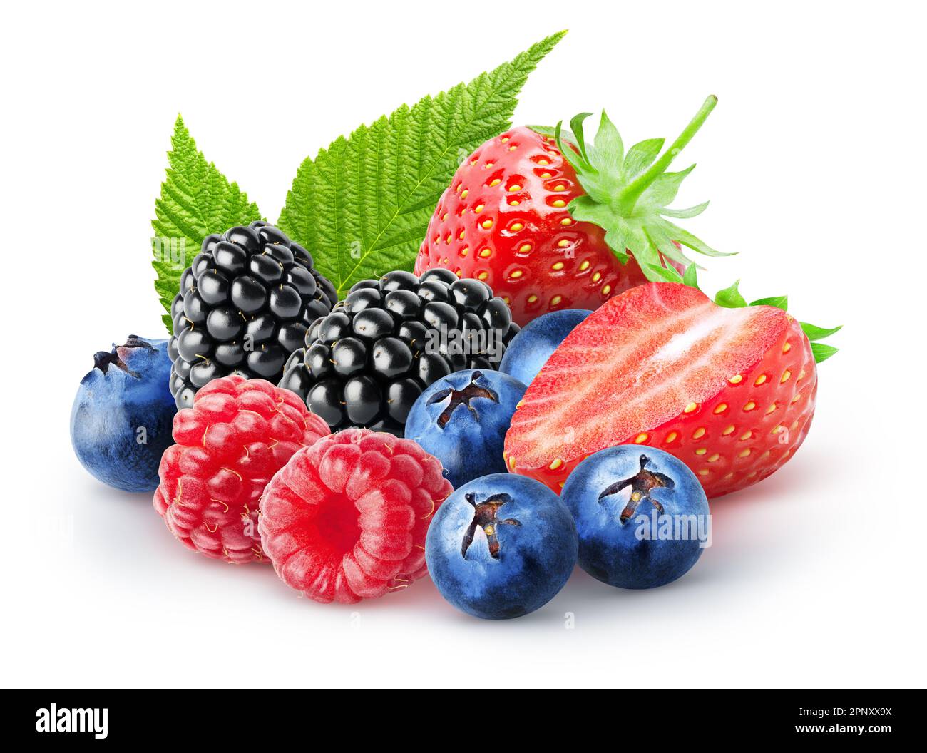 Isolated bunch of berries. Blackberry, raspberry, blueberry, strawberry ...