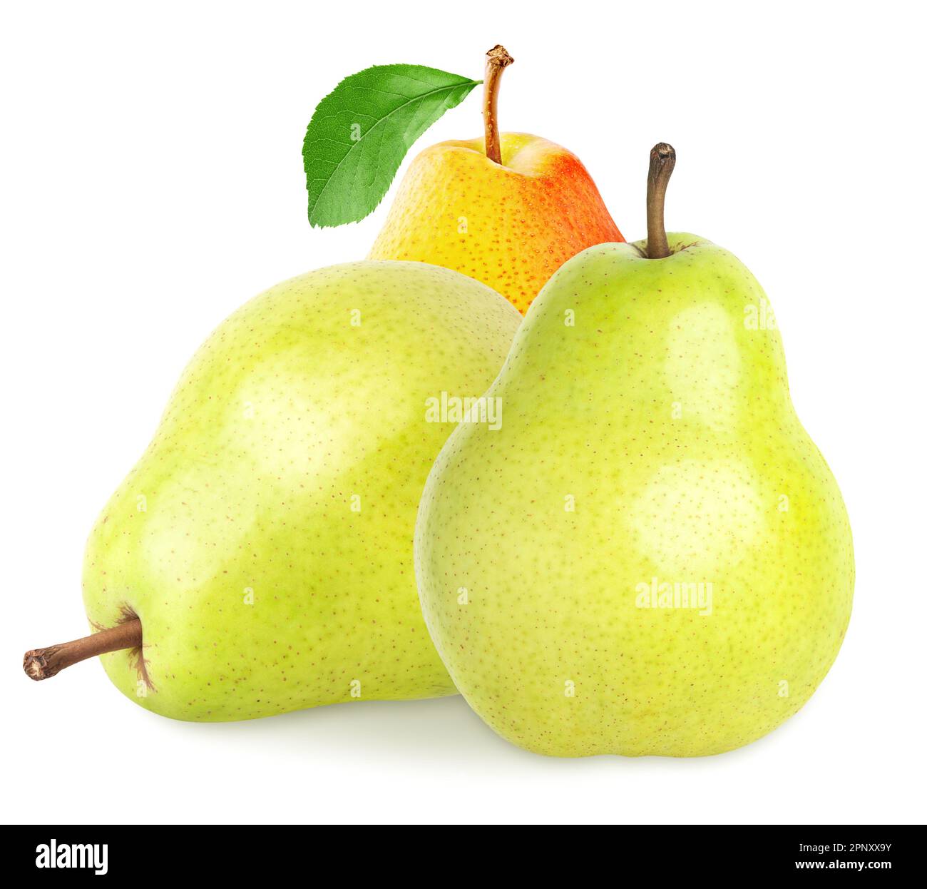 Isolated pears. Group of pear fruits isolated on white, clipping path ...
