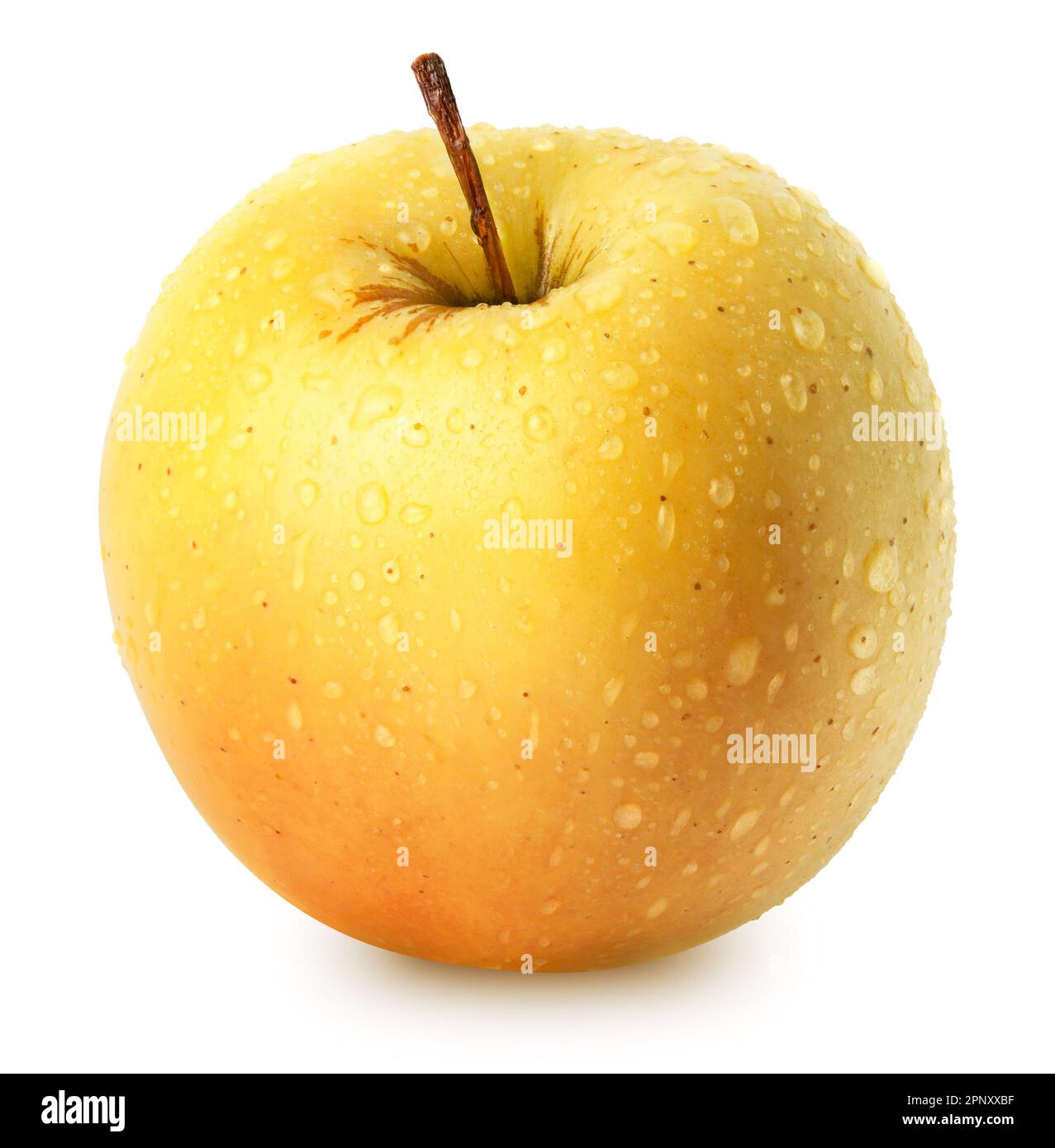 Isolated apple. Whole yellow (golden) apple fruit isolated on white ...
