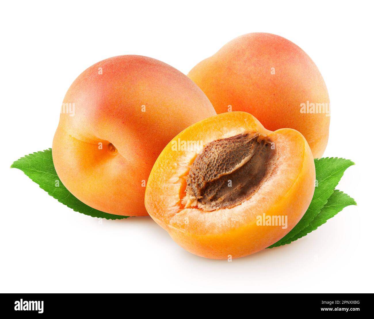Isolated apricots. Two whole apricot fruit and half with leaves ...