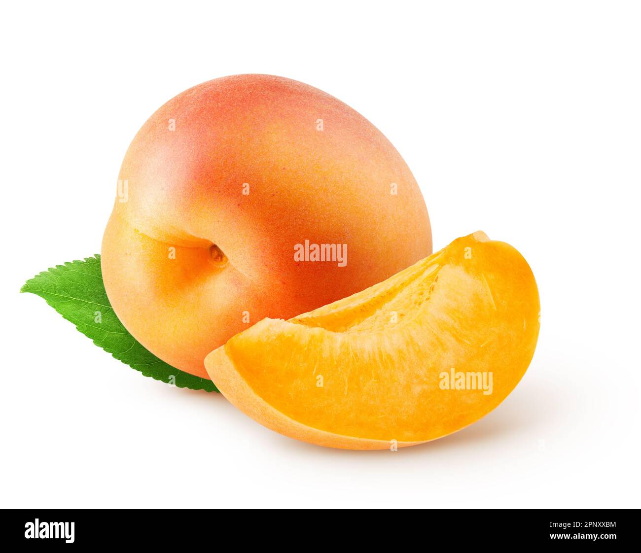 Isolated apricots. Whole fresh apricot fruit and piece with leaf ...