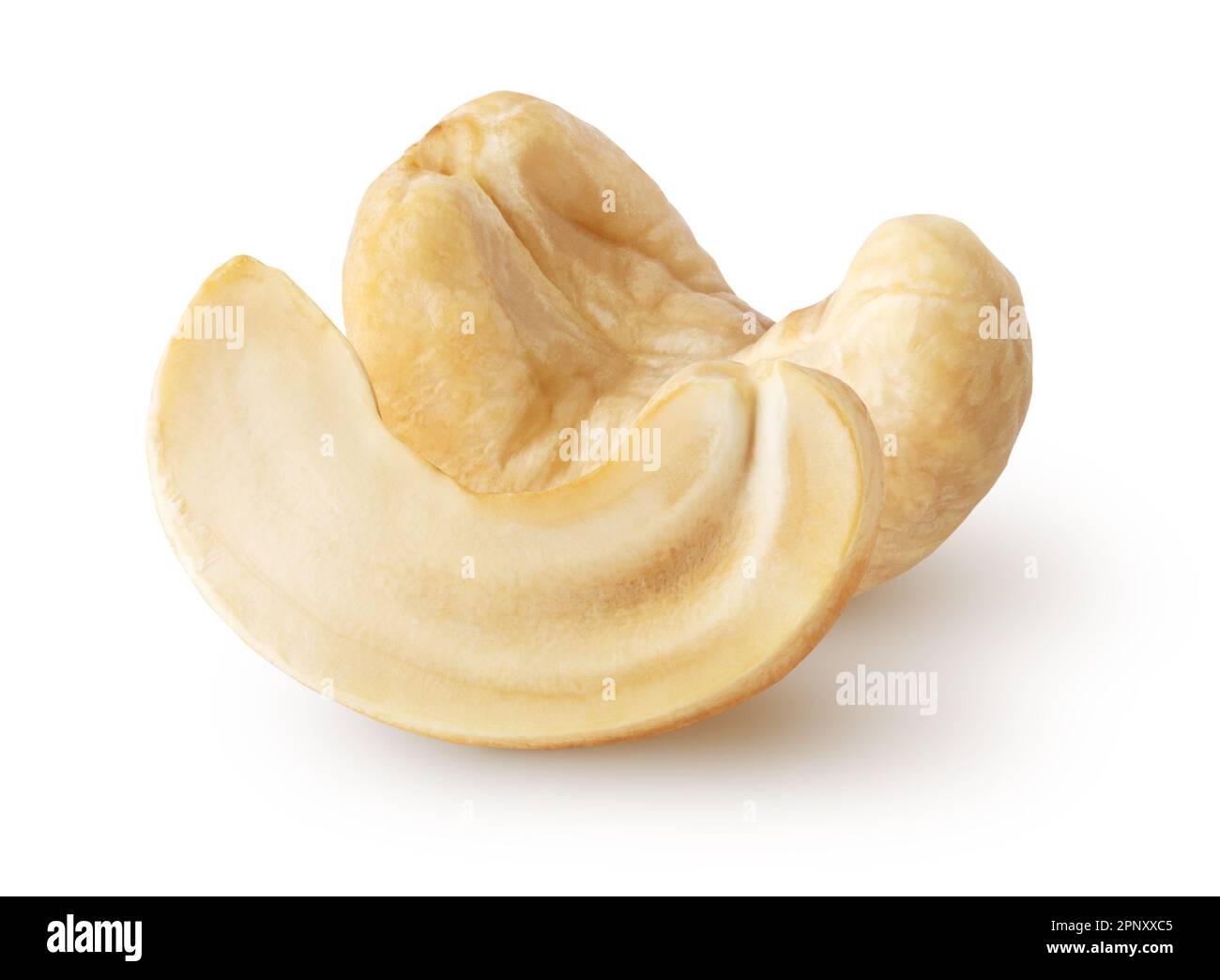 Isolated roasted cashew nuts. Whole and a half of roasted cashew nuts ...