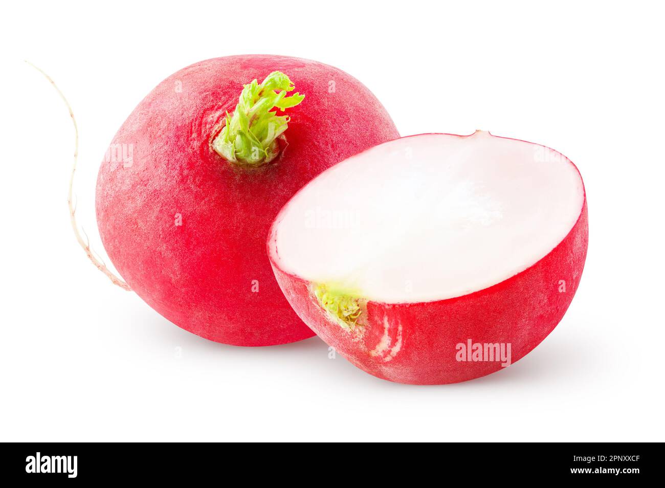 Isolated radishes. Raw whole radish vegetable with half isolated on ...