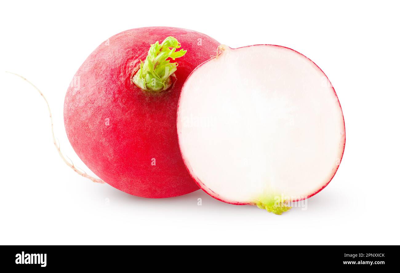 Isolated radishes. Raw whole radish vegetable with slice isolated on ...