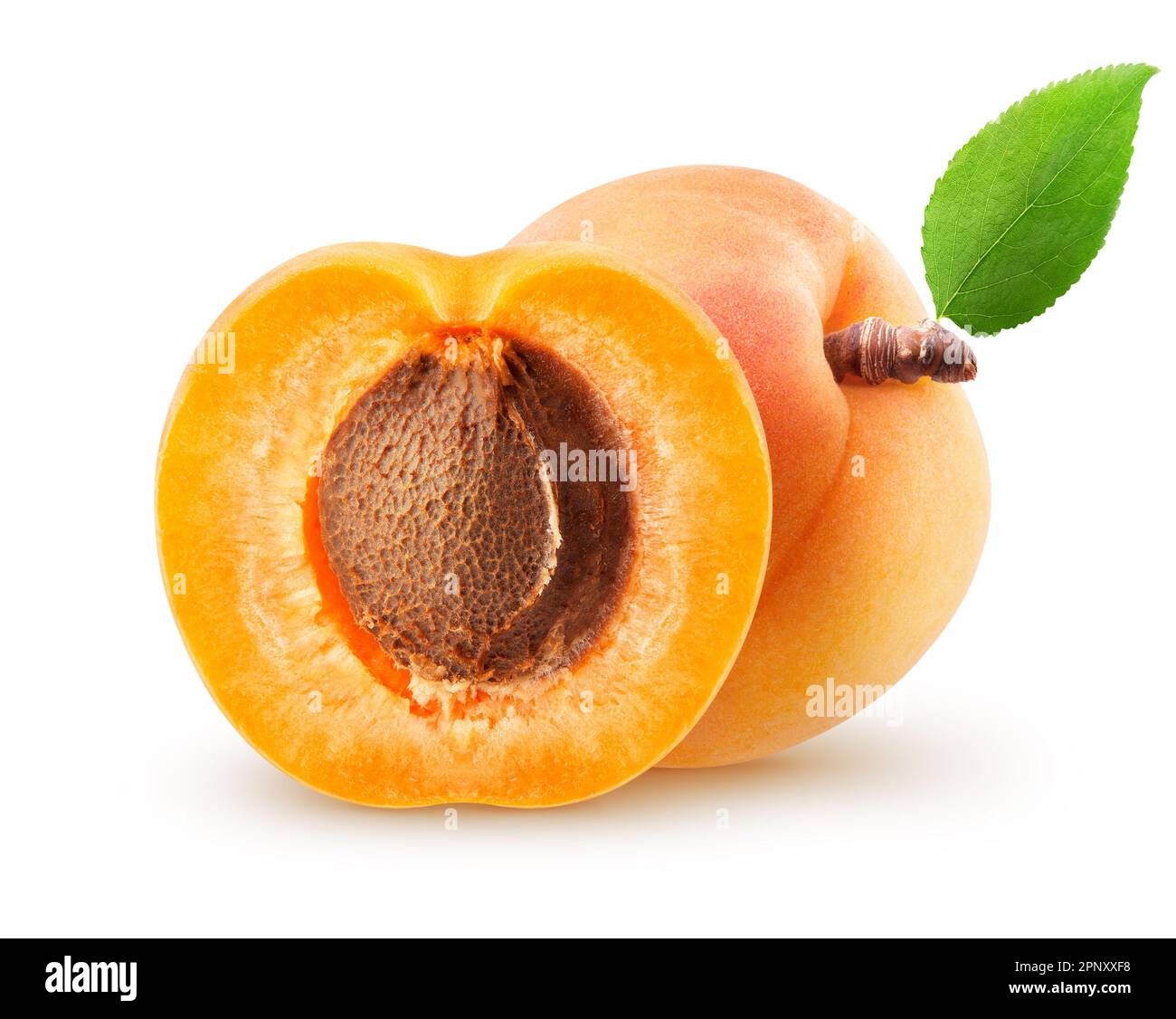 Isolated apricots. Fresh whole apricot fruit and half with leaf ...