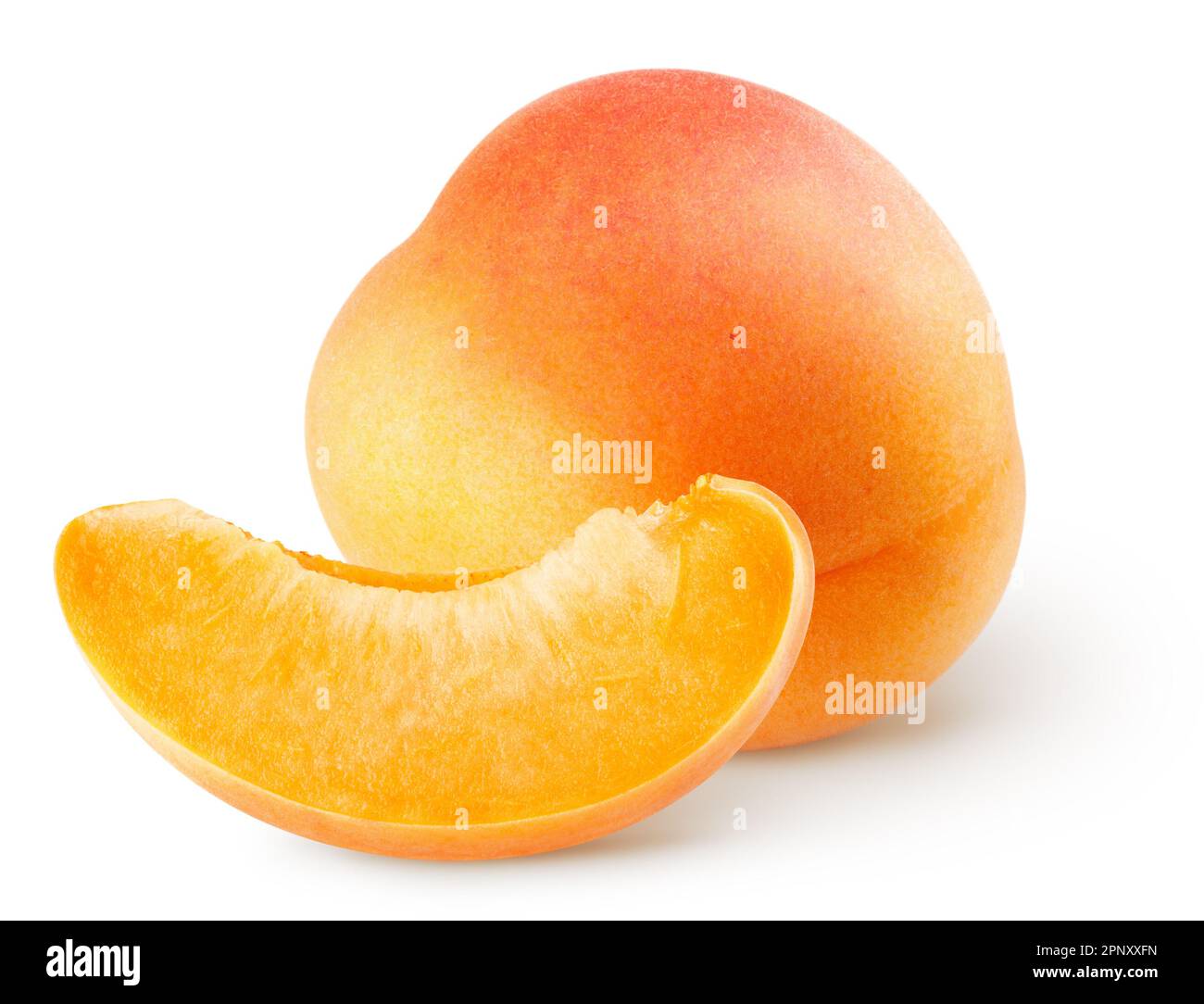 Isolated apricots. Fresh whole apricot fruit and piece isolated on ...