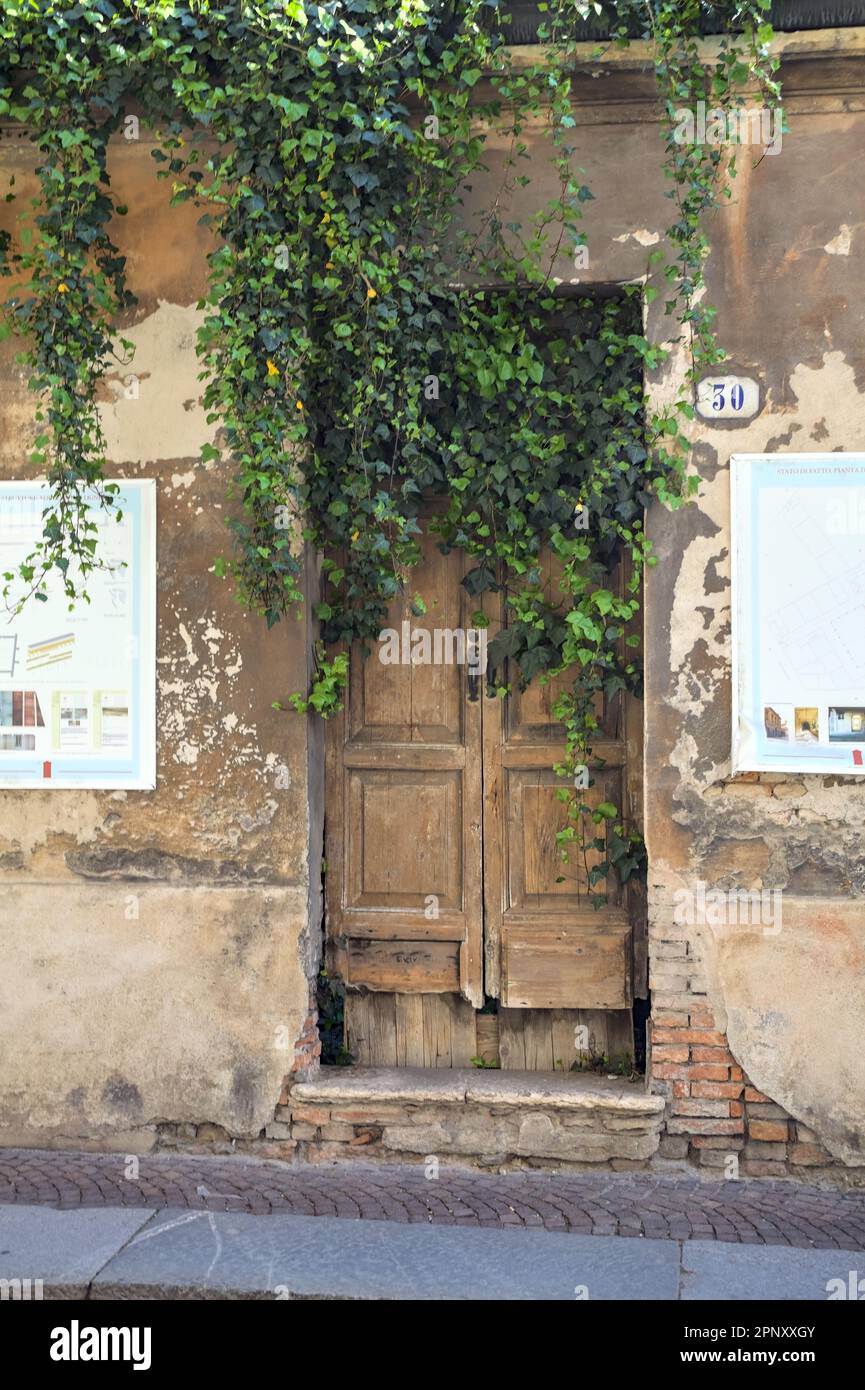 Facade of an abandoned building with a creeping plant on it in a street ...