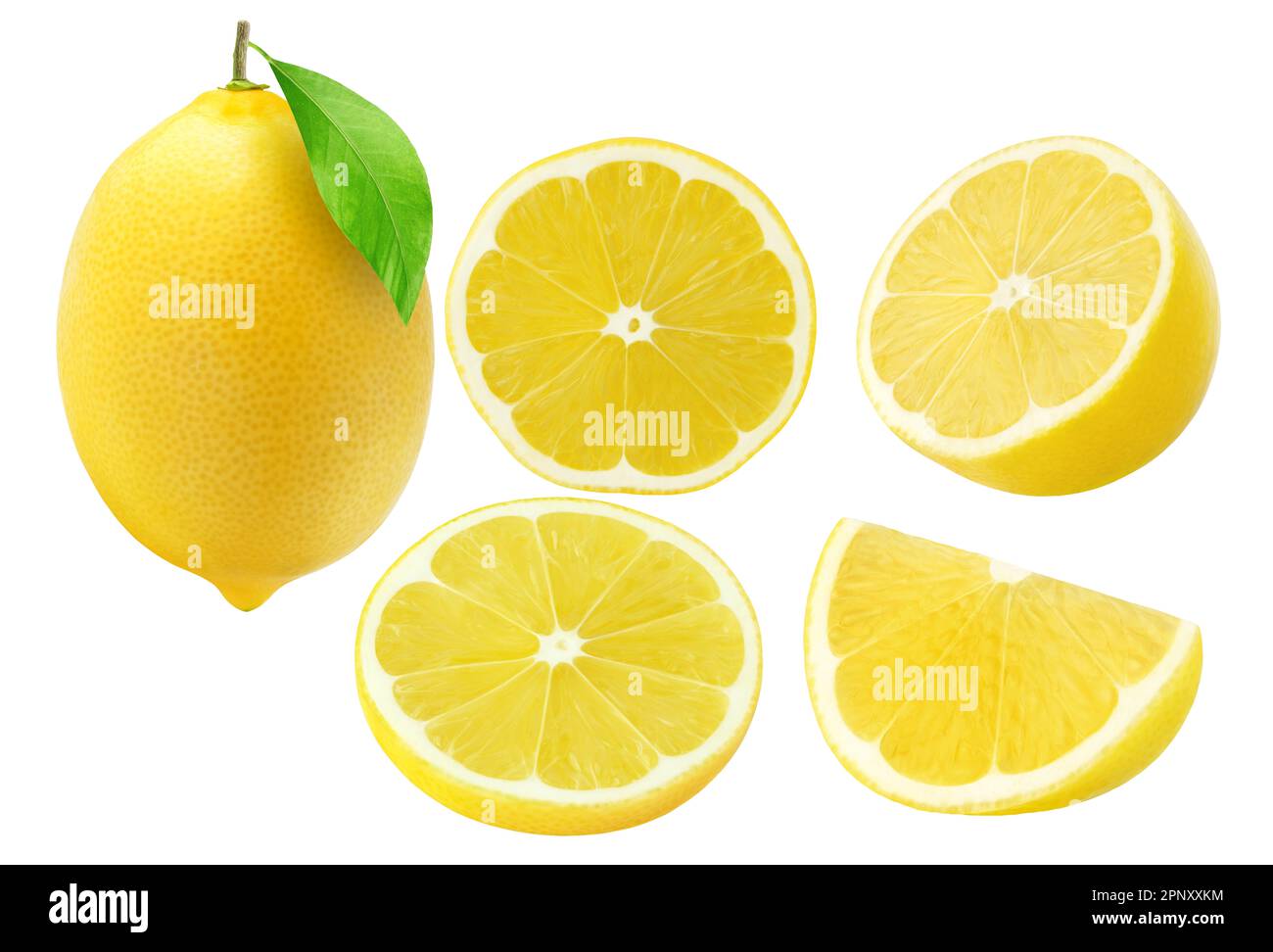 Collection of different lemon fruits with clipping path Stock Photo - Alamy