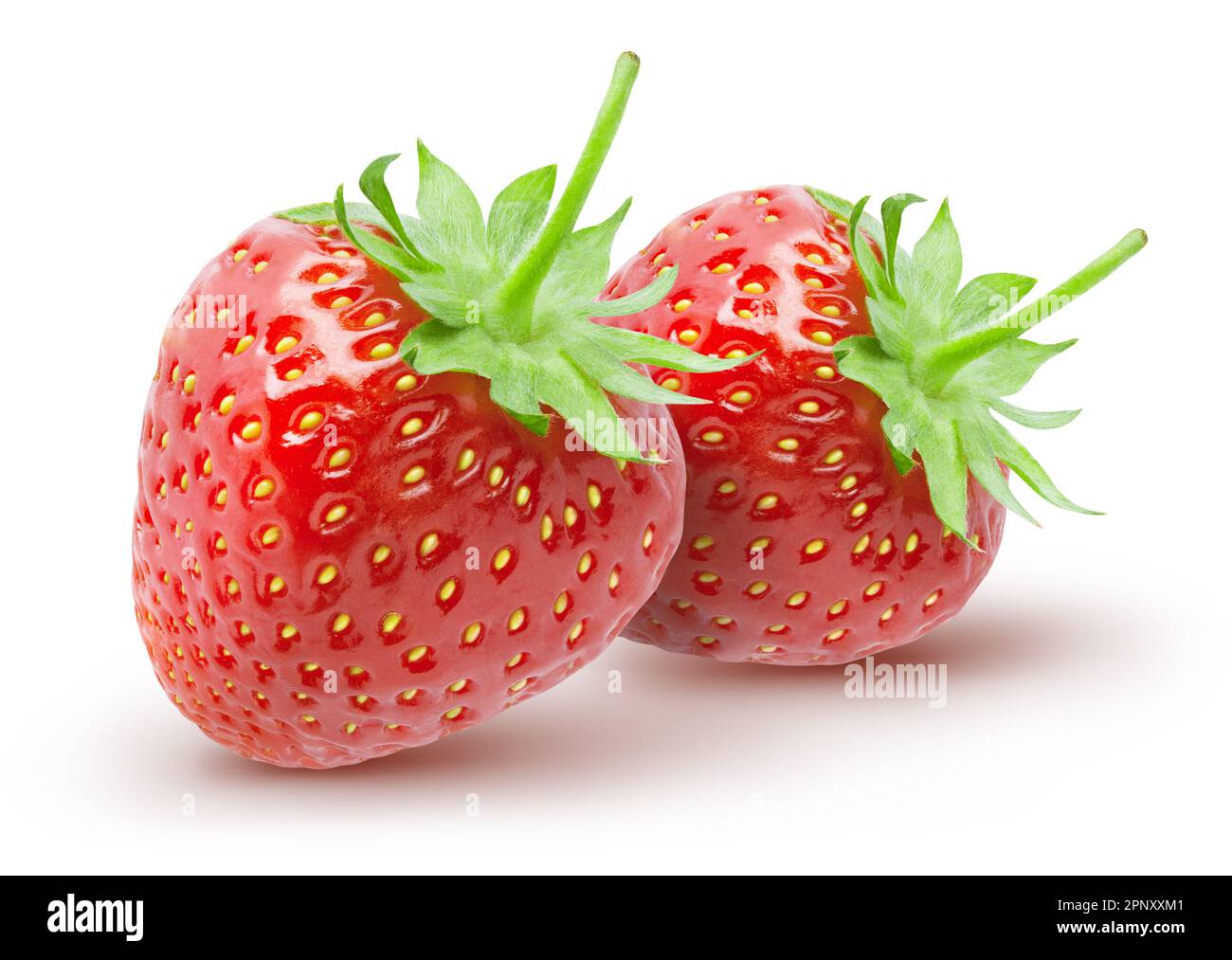 Isolated strawberry. Two whole strawberry fruits isolated on white ...