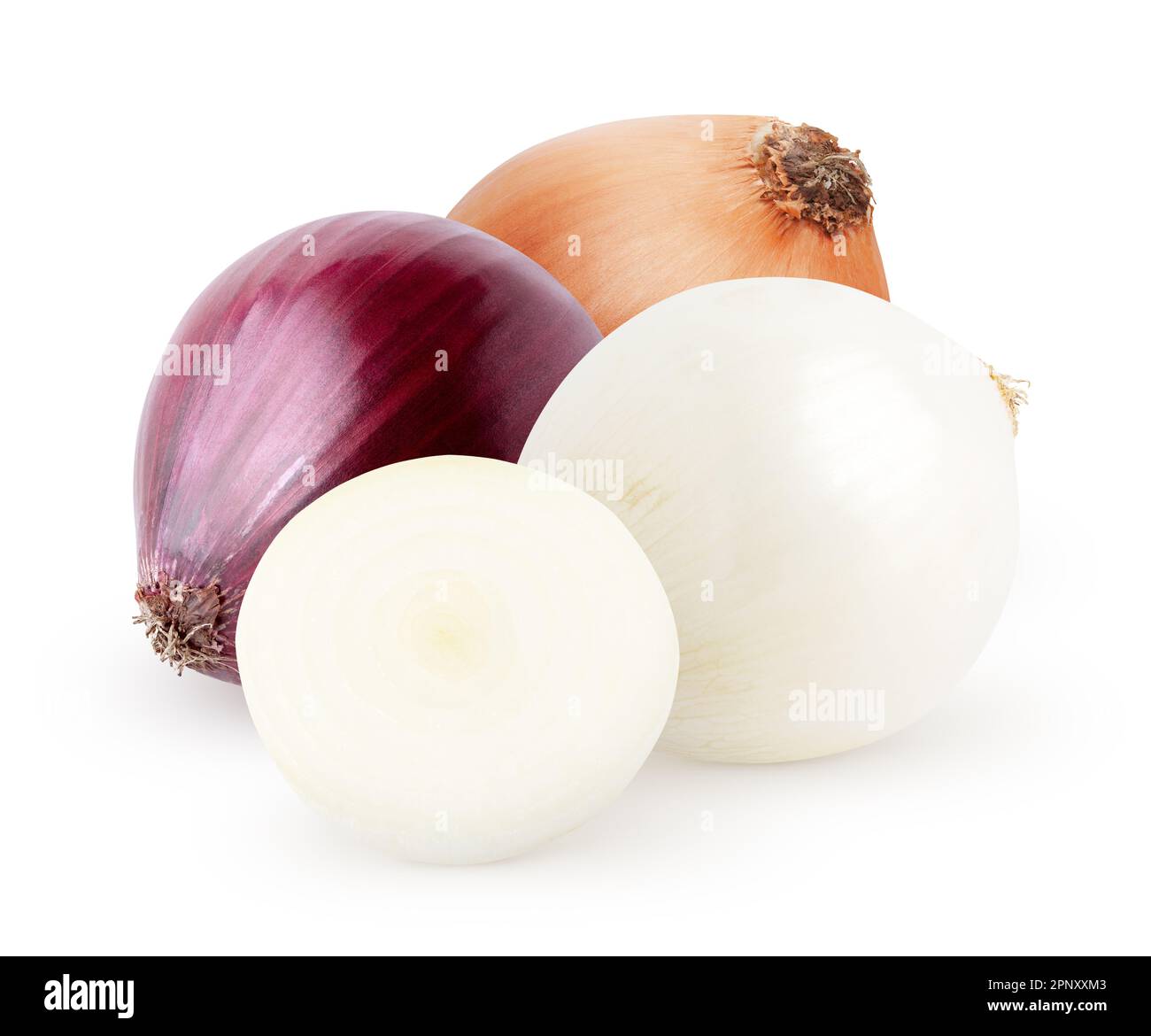 Isolated onions. Group of different onion isolated on white background ...