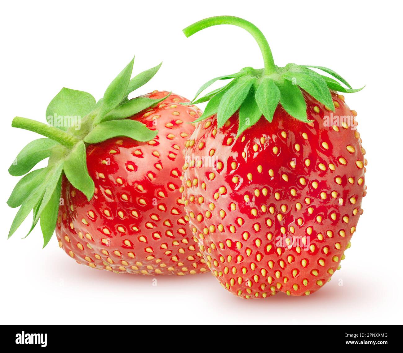 Isolated strawberry. Two whole strawberry fruits isolated on white ...