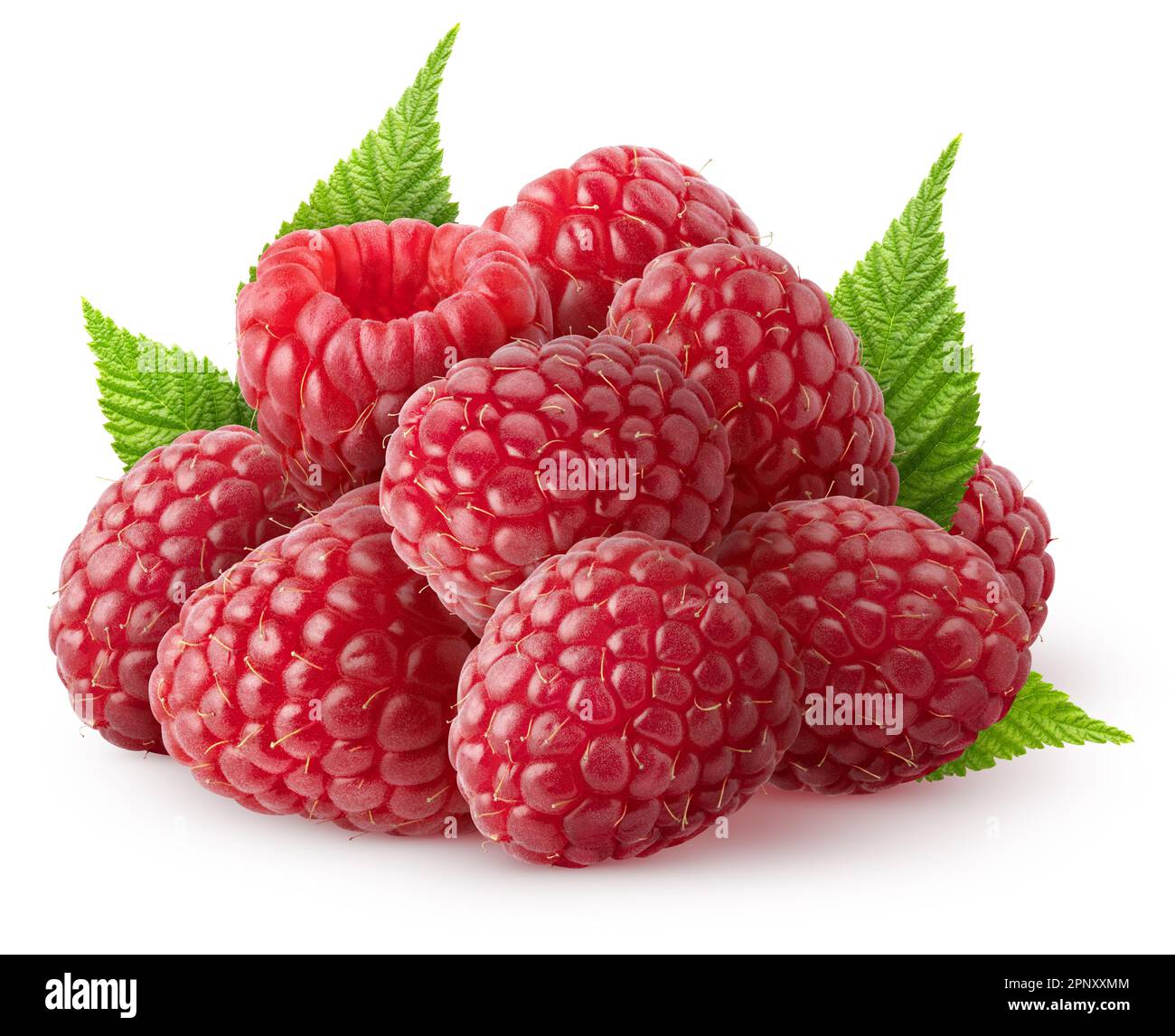 Isolated pile of berries. Group of raspberry fruits with leaves ...