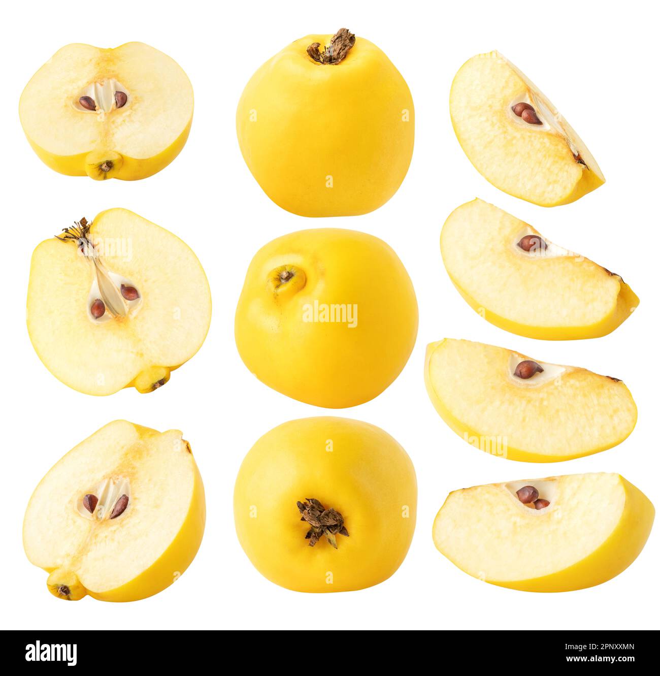 Isolated quince collection. Quince fruit pieces of different shapes ...