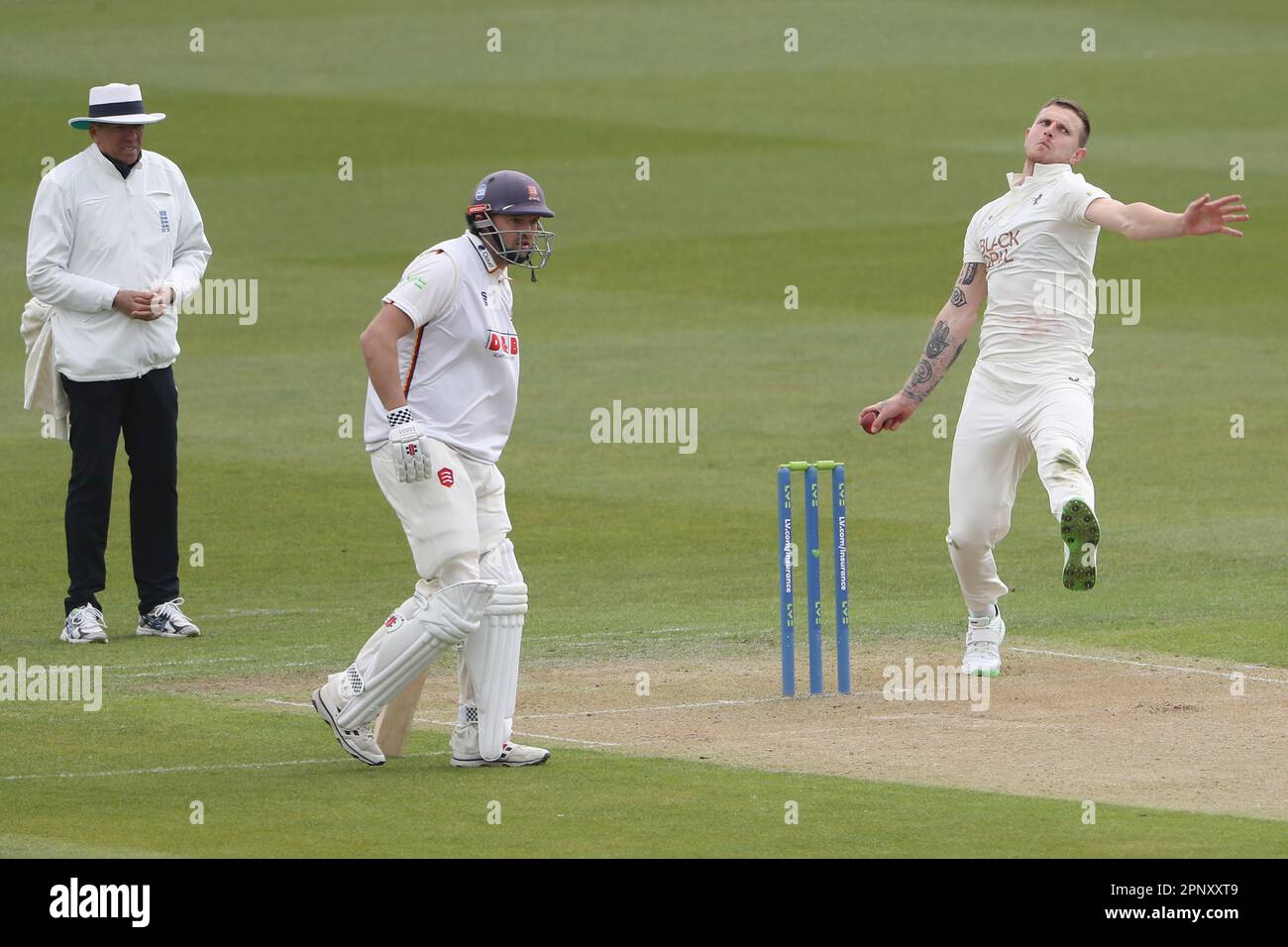 Conor mckerr hi-res stock photography and images - Alamy