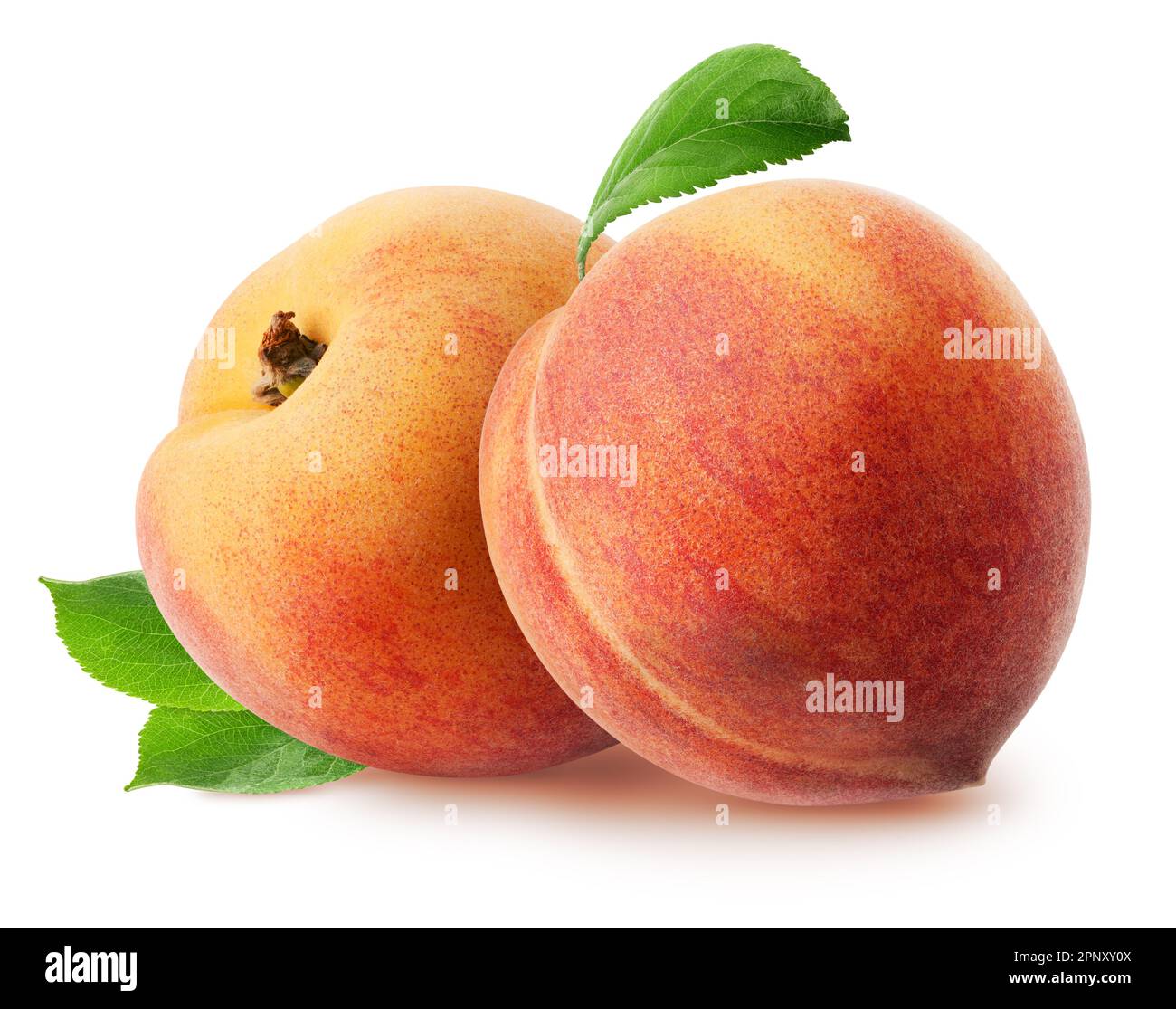 Peach isolated. Two whole peach fruits with leaves isolated on white ...