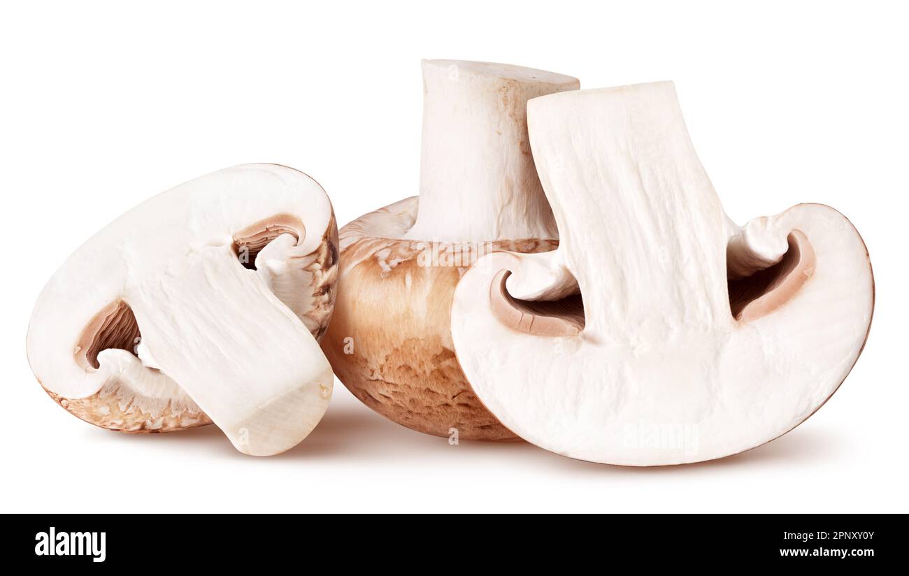 Isolated mushrooms. Whole fresh champignon mushroom and half isolated ...