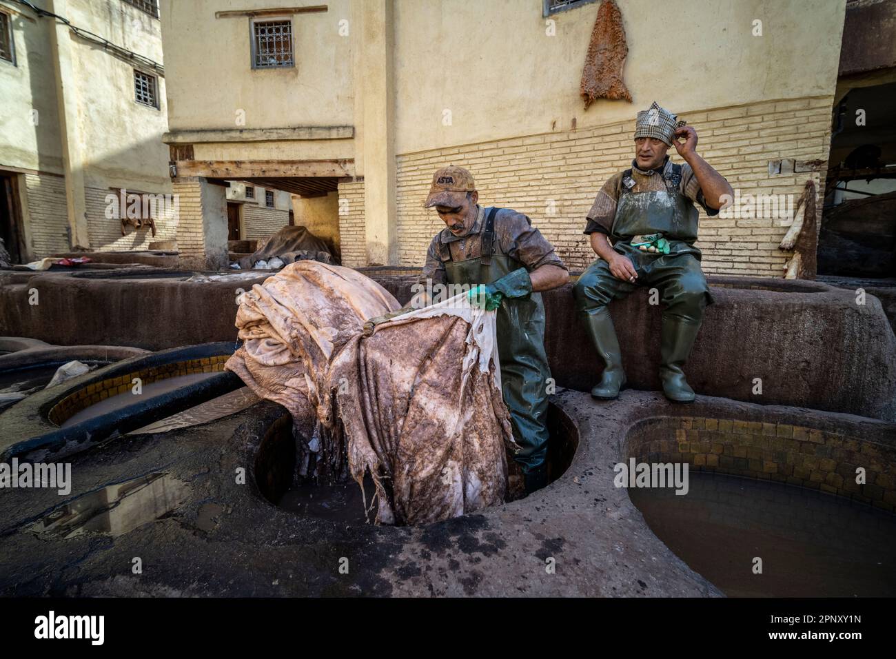 Worker in the tanneries of Fez handling skins inside a pool, for ...