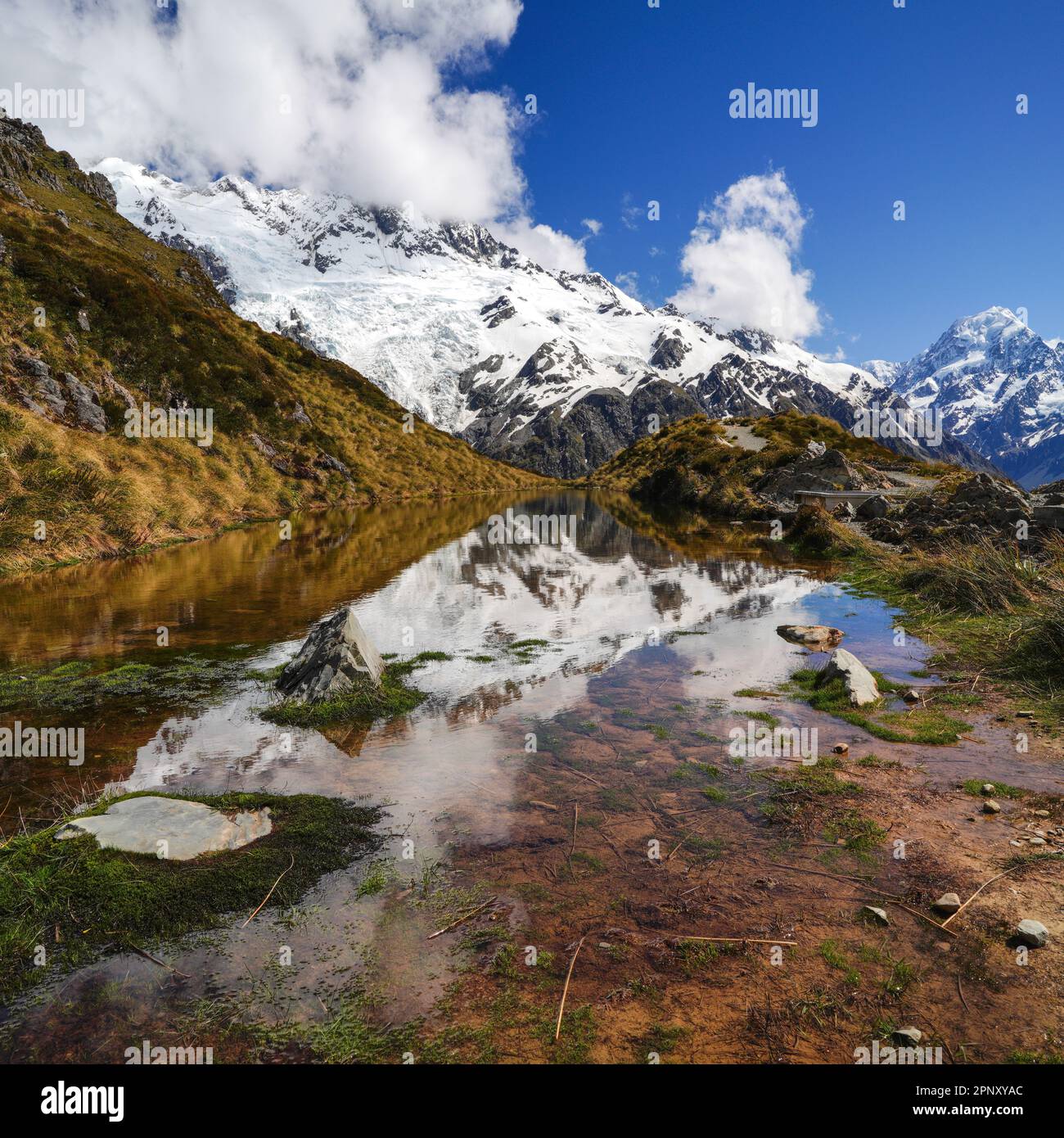 Treking in Mount Cook/Aoraki National Park in New Zealand on the South ...