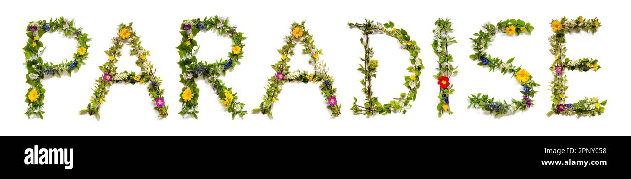 Colorful Flowers Building Word Paradise, Isolated Background Stock ...