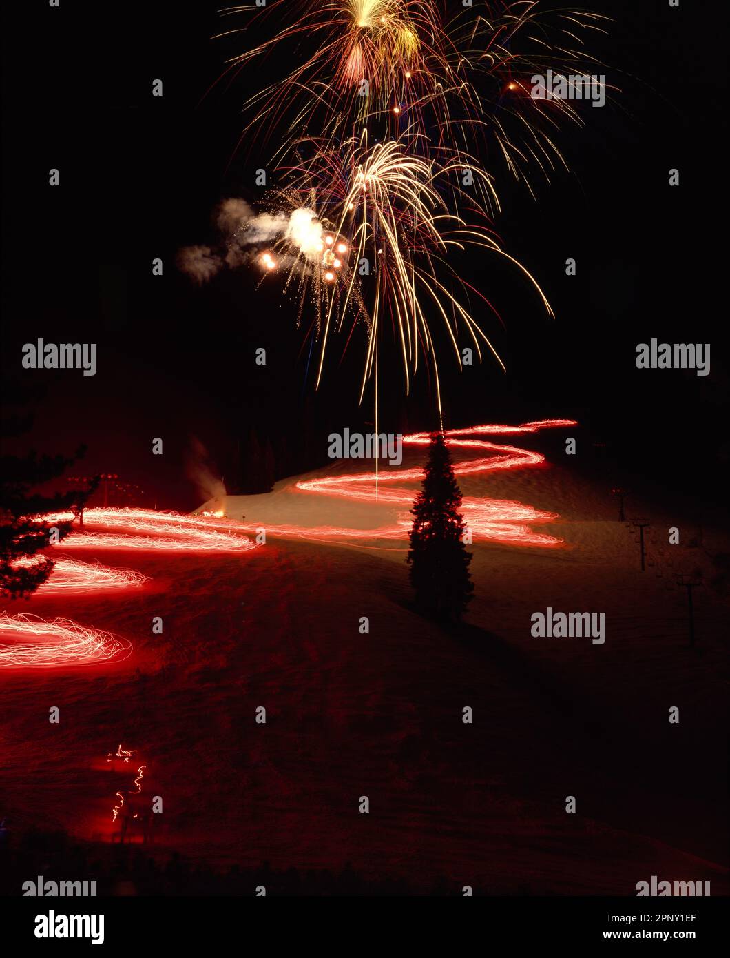 A vibrant display of fireworks lighting up a dark sky, with tall trees ...