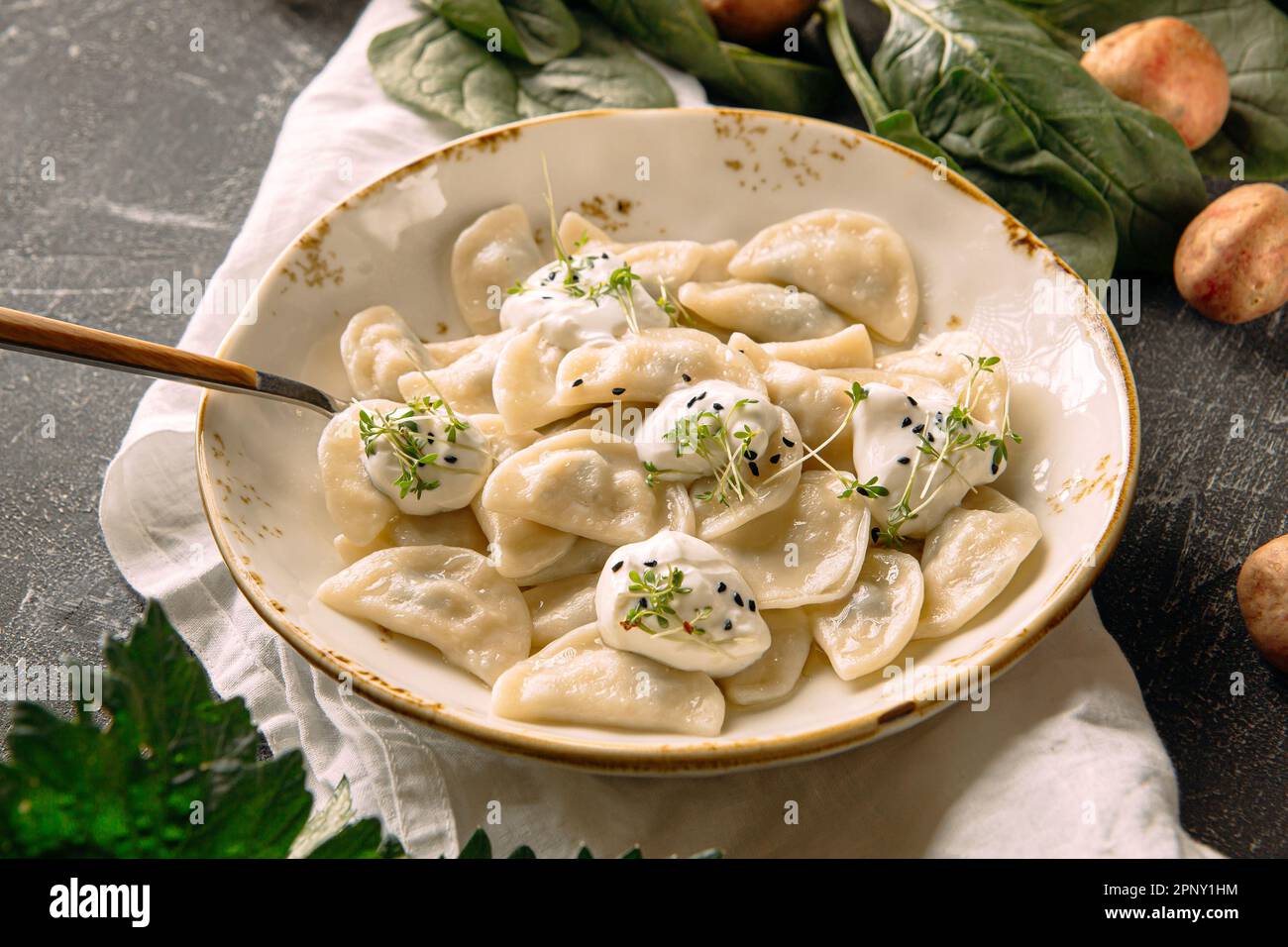 Portion of russian dumplings vareniki Stock Photo - Alamy