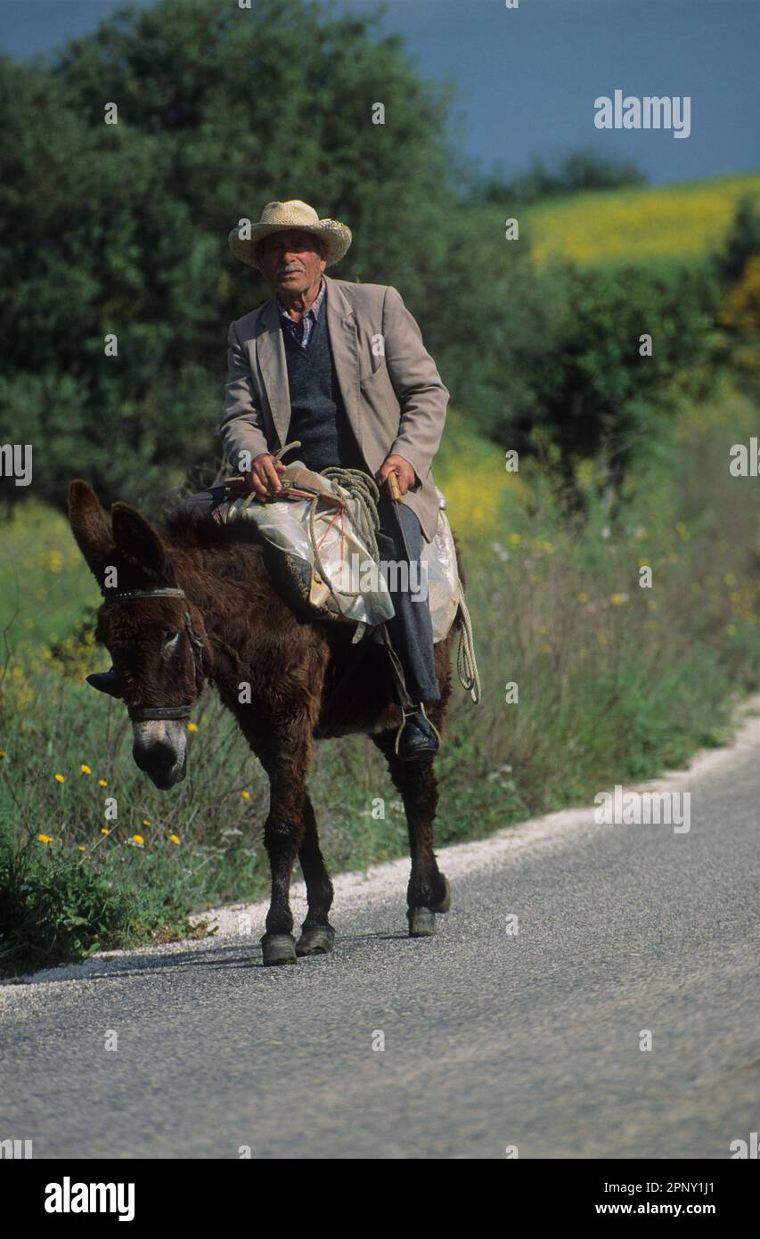 Man riding donkey hi-res stock photography and images - Alamy
