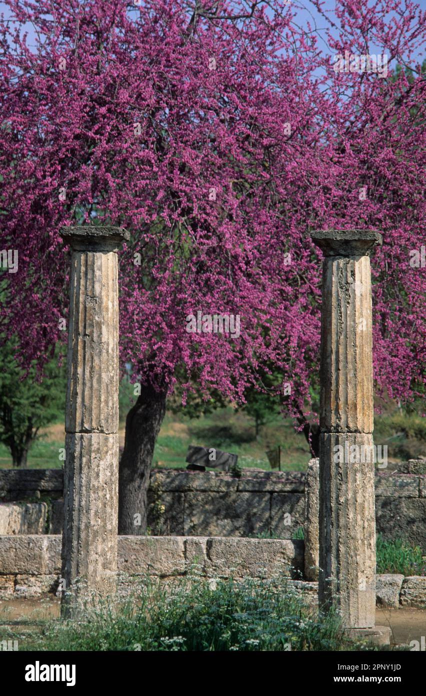 Ancient Olympia, Greece Stock Photo - Alamy