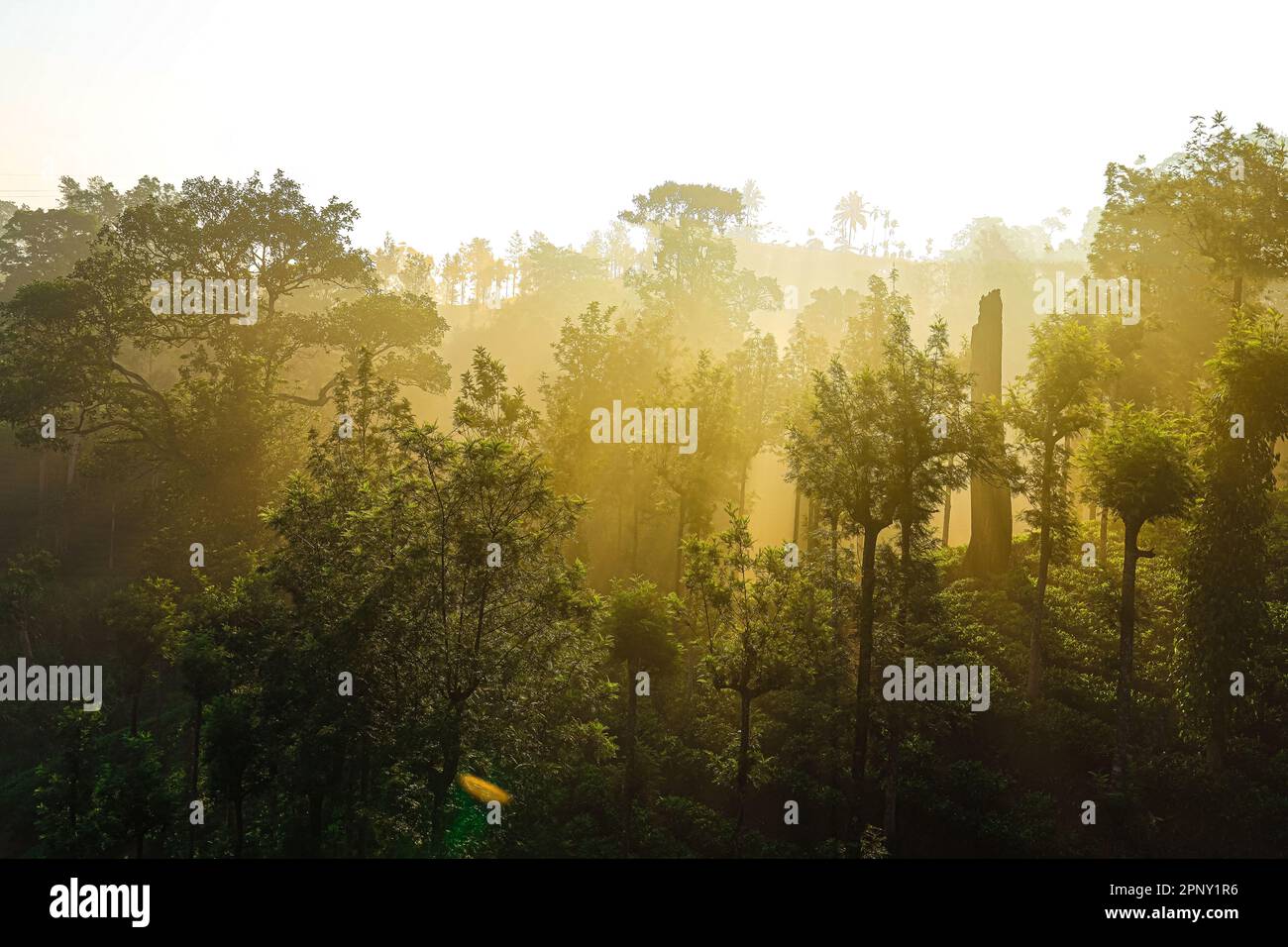 Sunshine hd background hi-res stock photography and images - Alamy