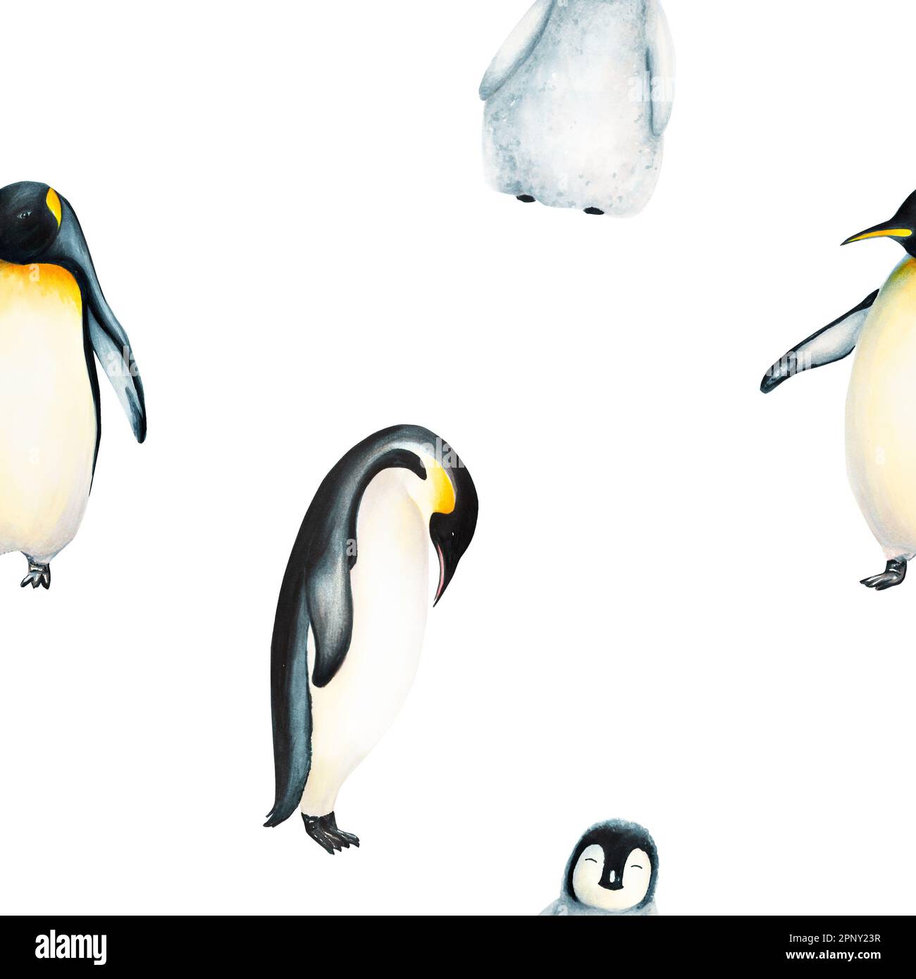 Watercolor seamless pattern with king penguin family isolated. Hand ...