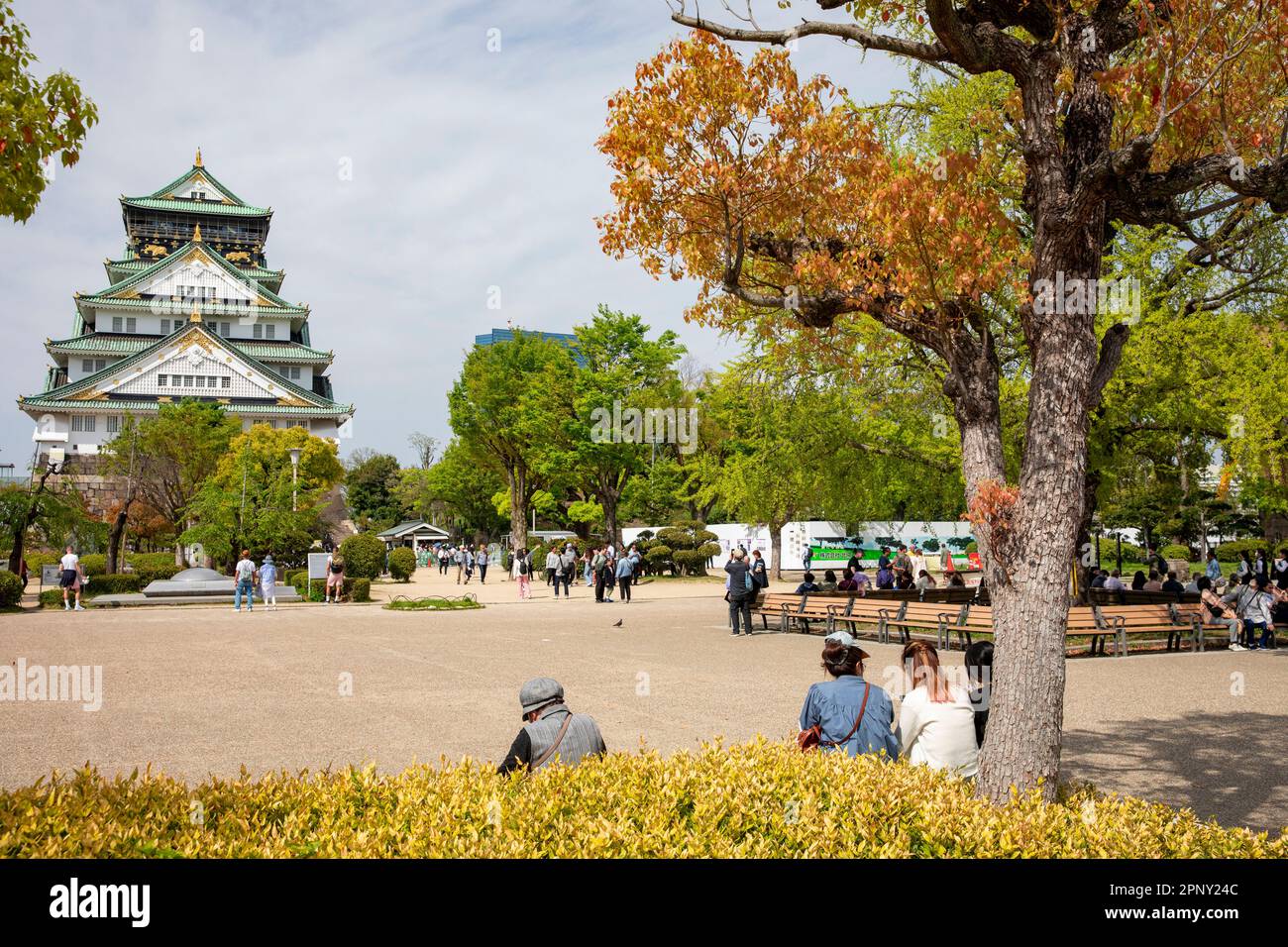 Osaka Castle April 2023, Osaka castle main keep tower on the grounds of ...